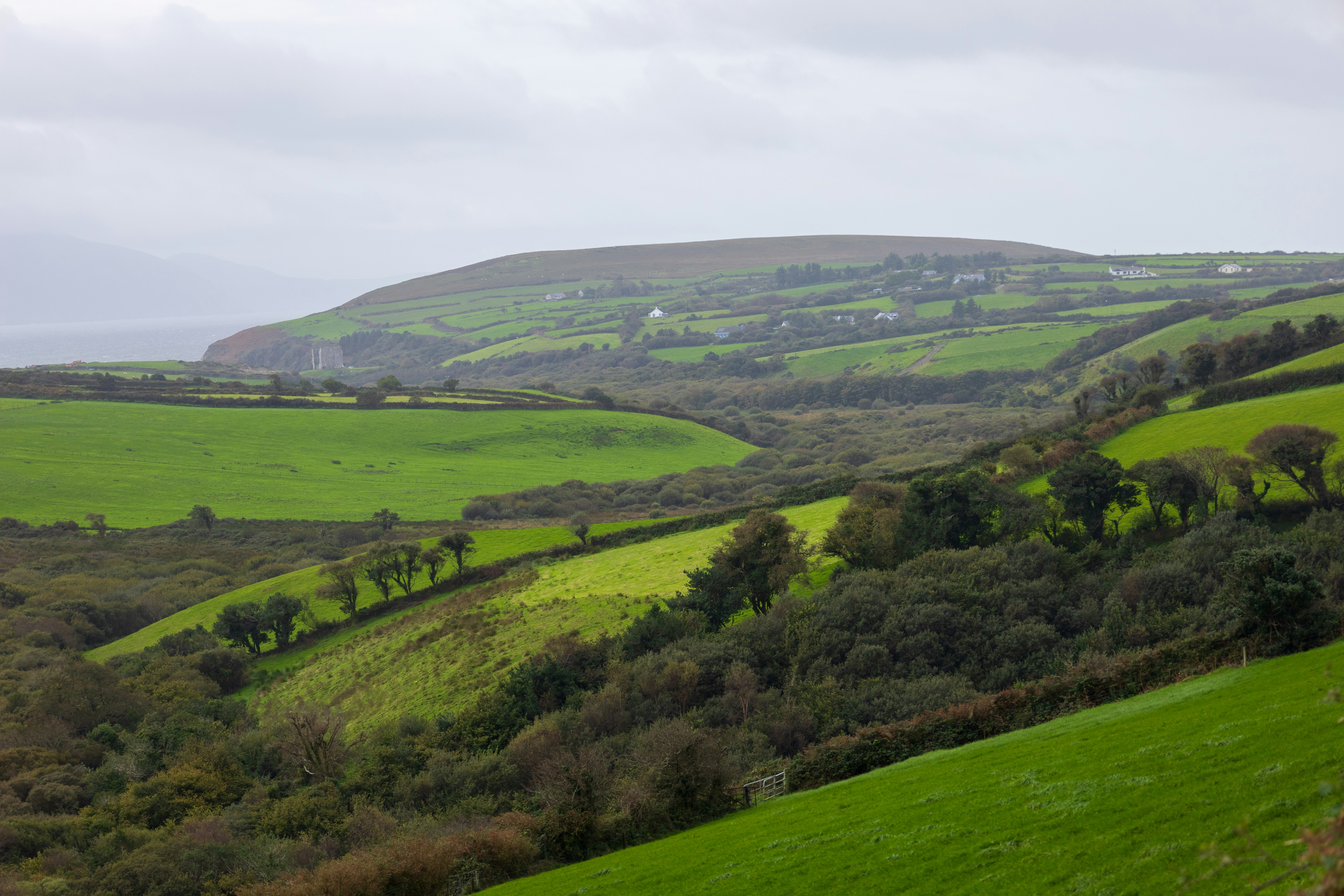 Wave of Pastures: A Quieter Fold of Hills