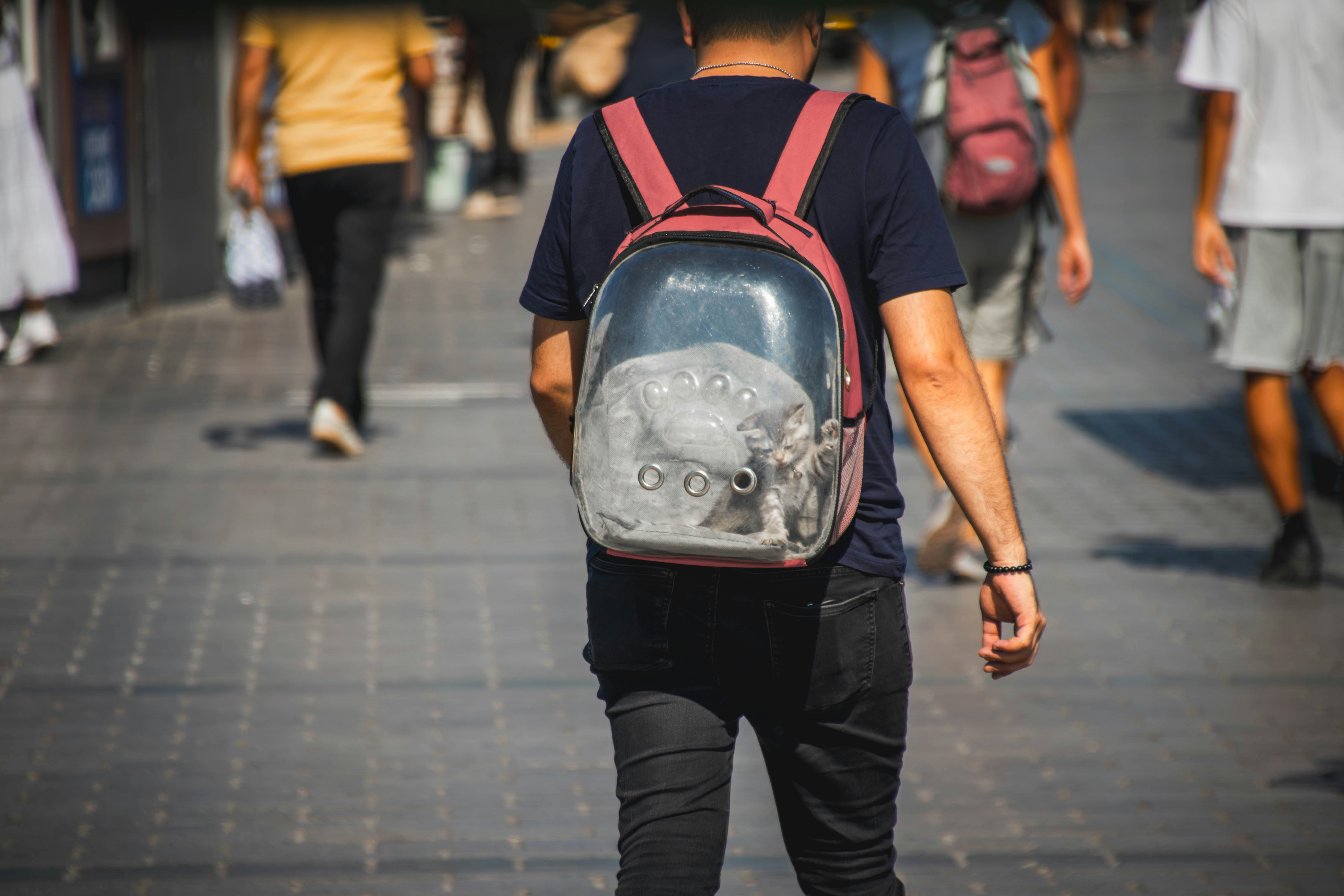 Backpack Runner: A Pedestrian in Transit on a Sunny City Street