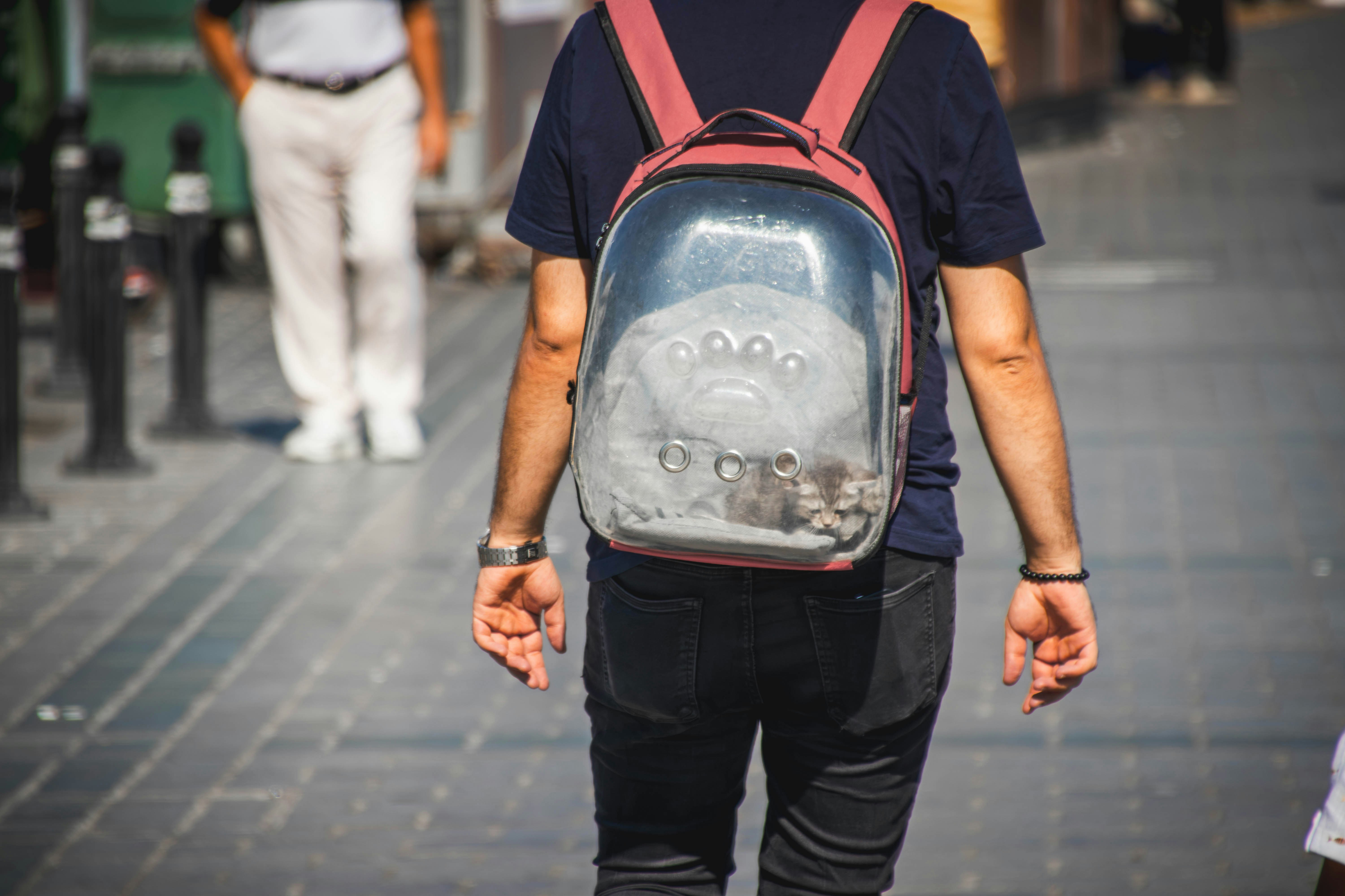 Backpack Reveal: A Traveler's Pause on a City Walk