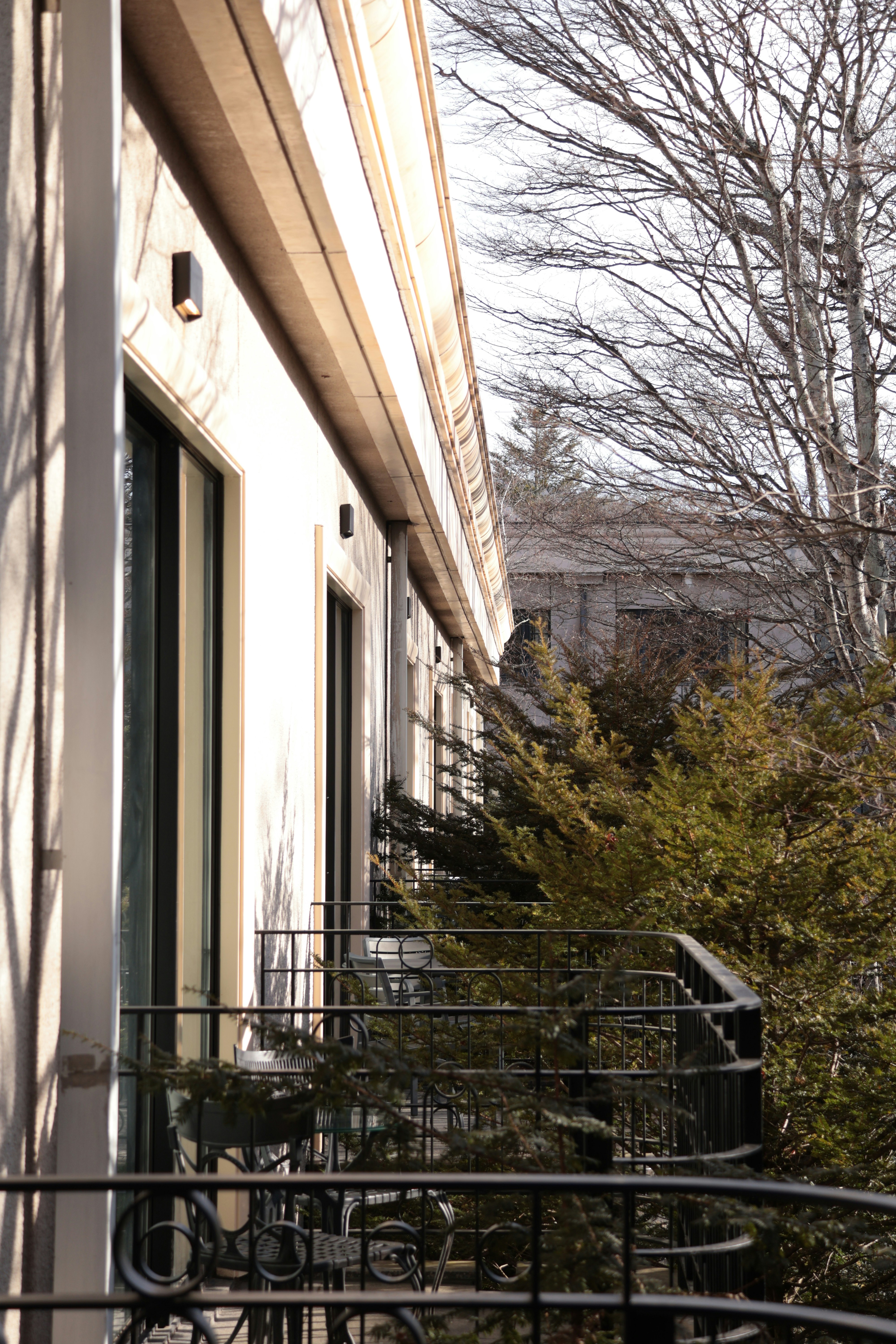 Sunlit Balcony Corridor Framed by Winter Branches