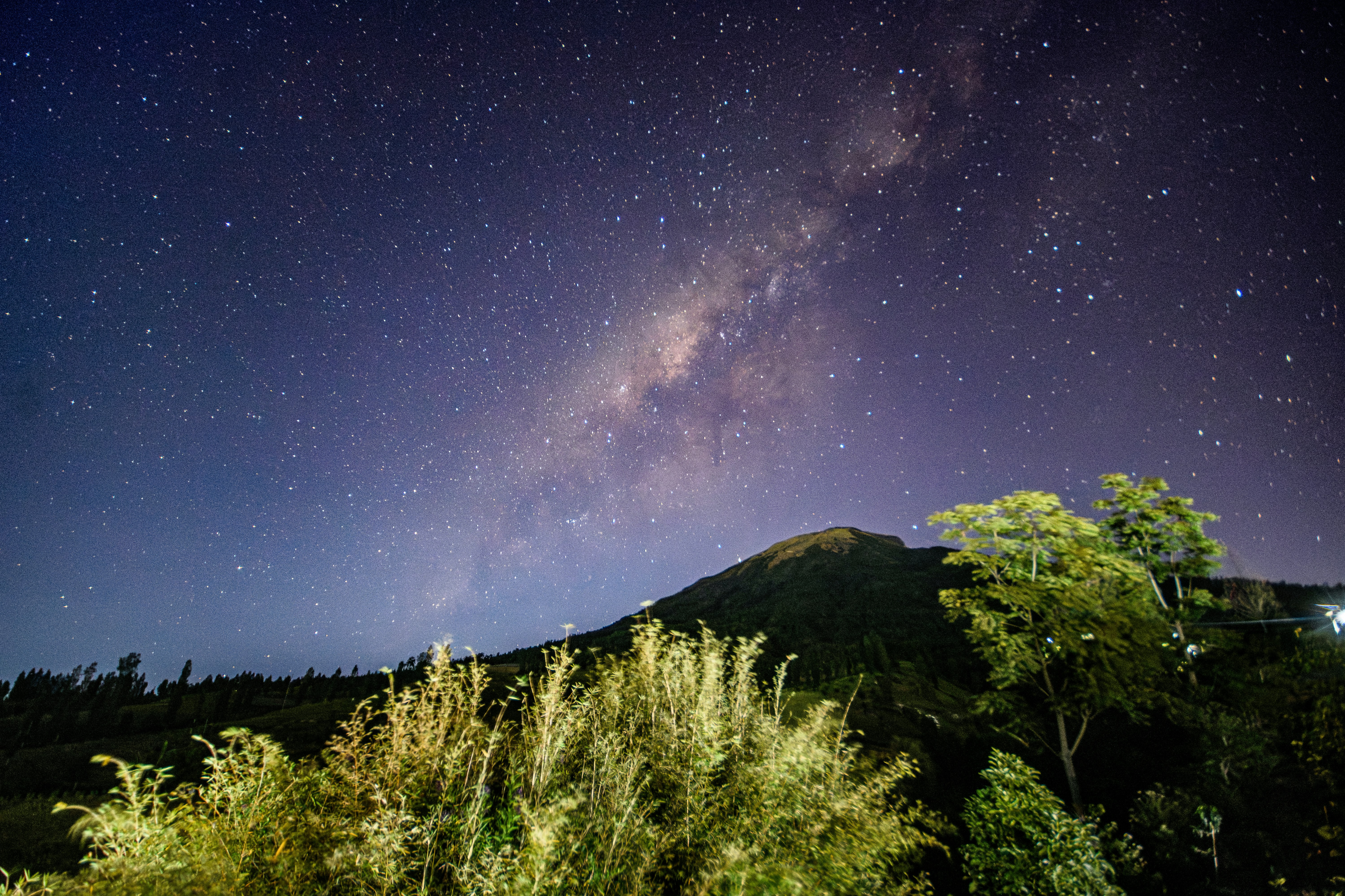 Star-filled night sky arches above a quiet hill with foreground shrubs and trees, capturing a serene landscape under the Milky Way. A natural landscape scene.
