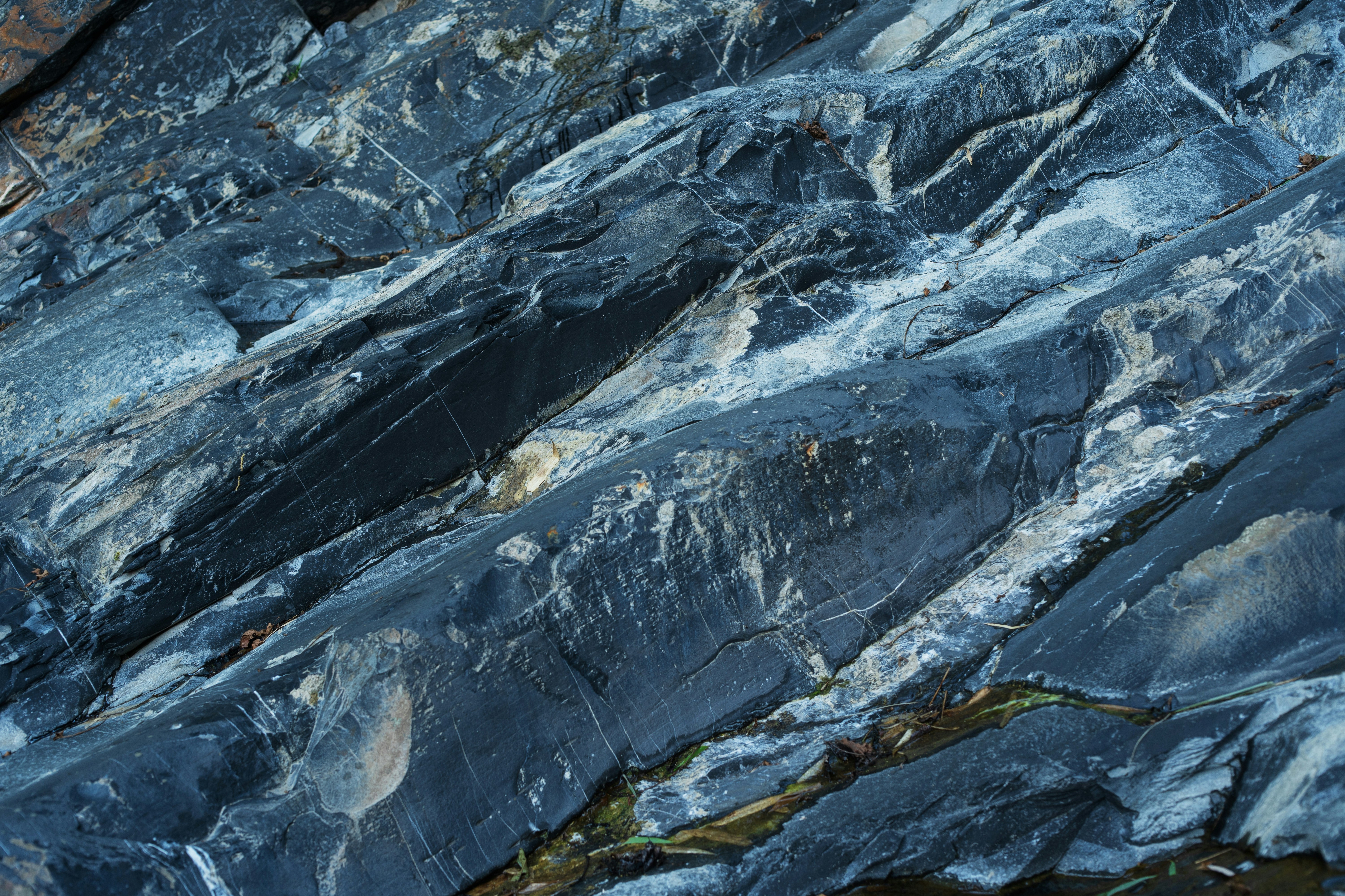 Glacial Strata: Close-Scaled Veins in a Jagged Rock Face