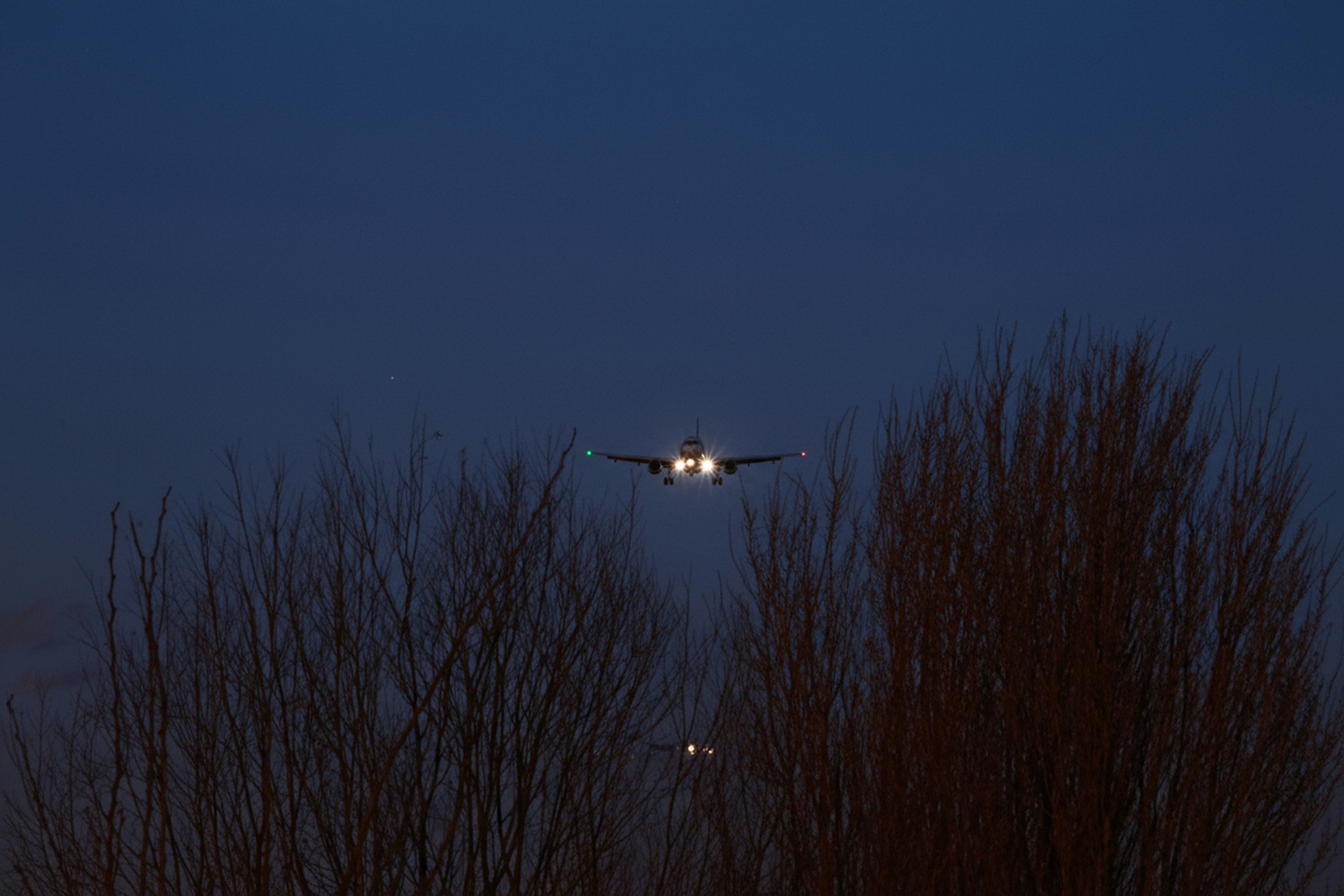 Night Approach: An Airplane Glides Toward a Quiet Forest Horizon