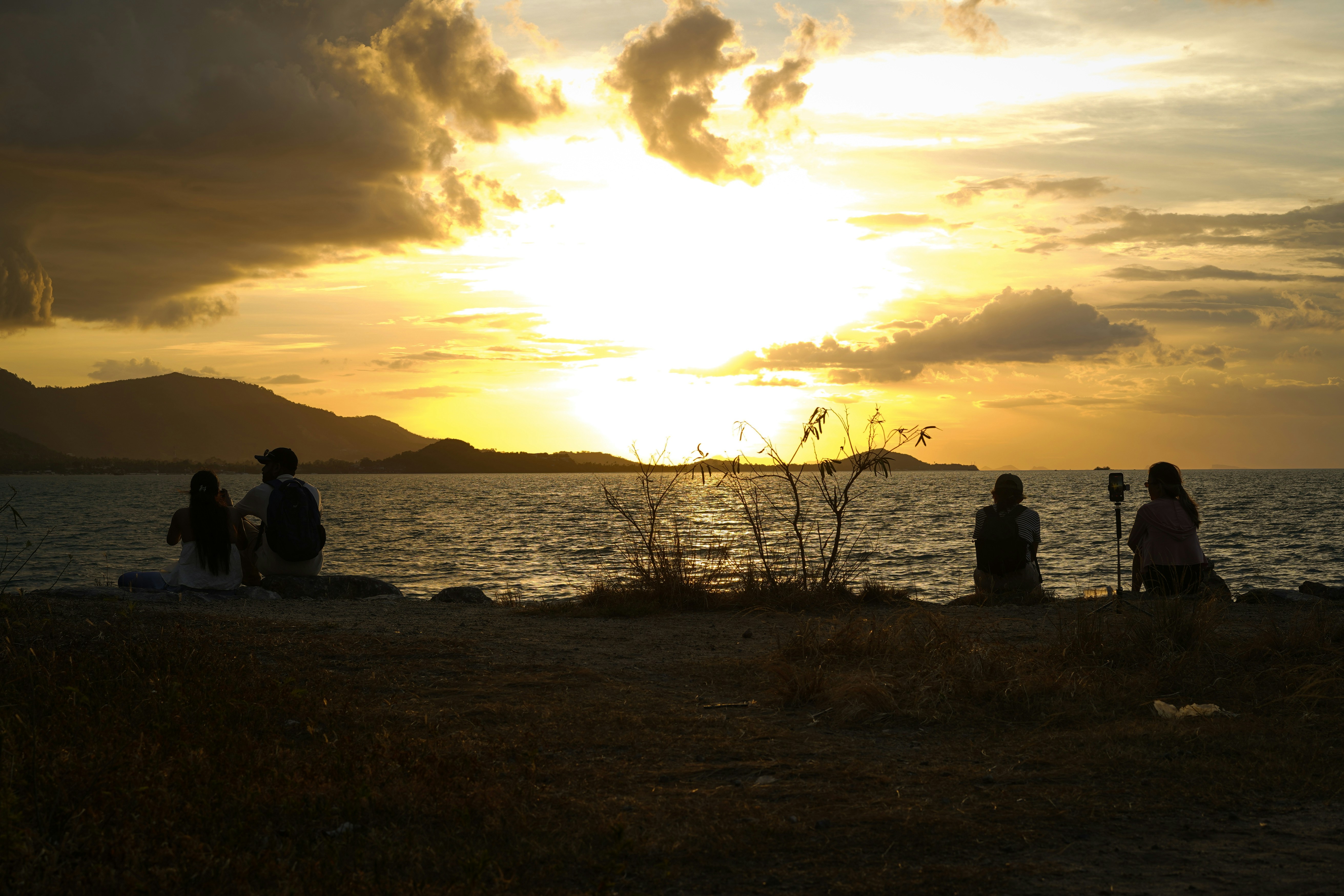 Sunset by the Silhouetted Shoreline: A Quiet Gathering