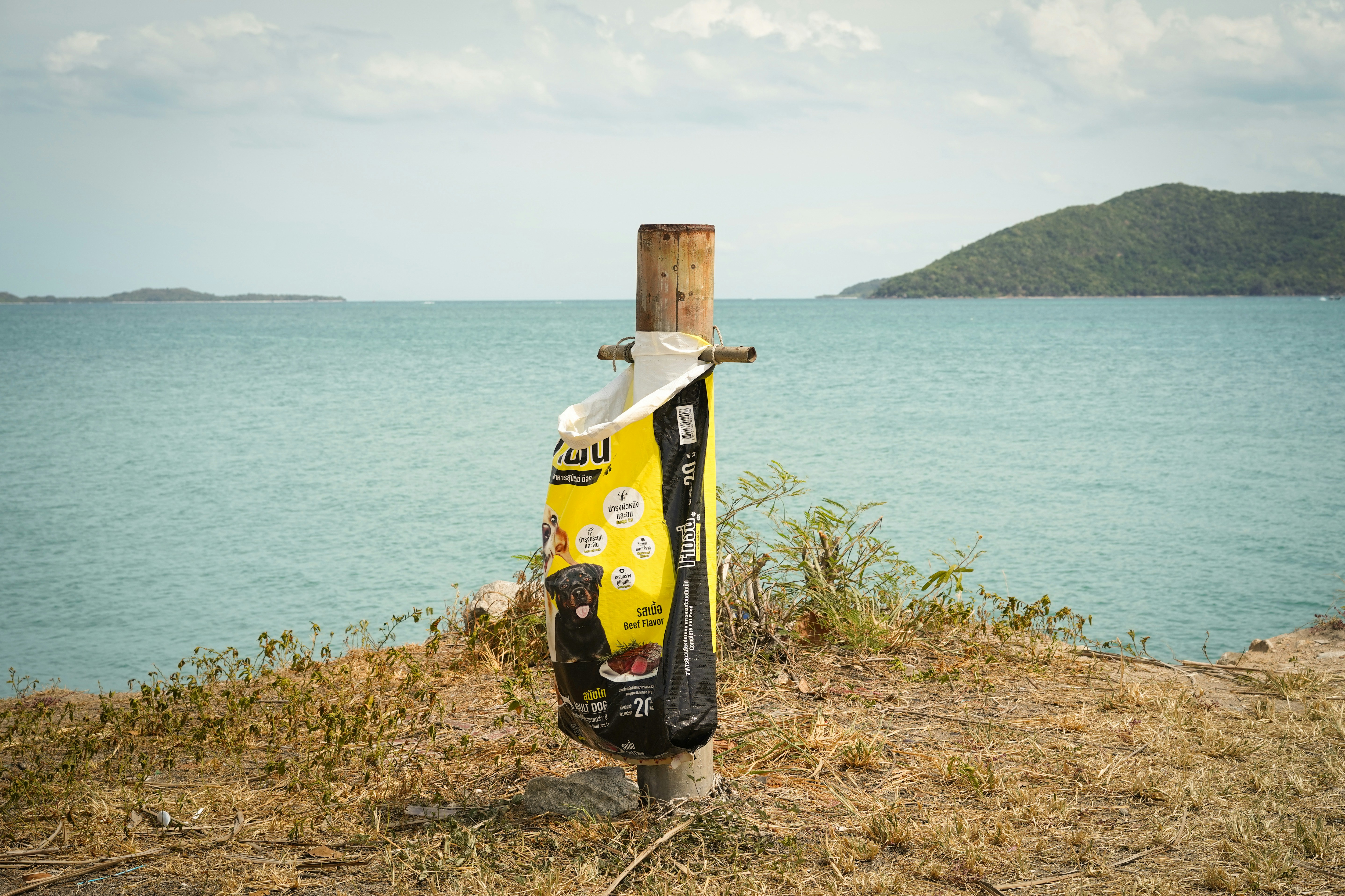 Yellow Trash Bag Adrift on a Cliffside Pier