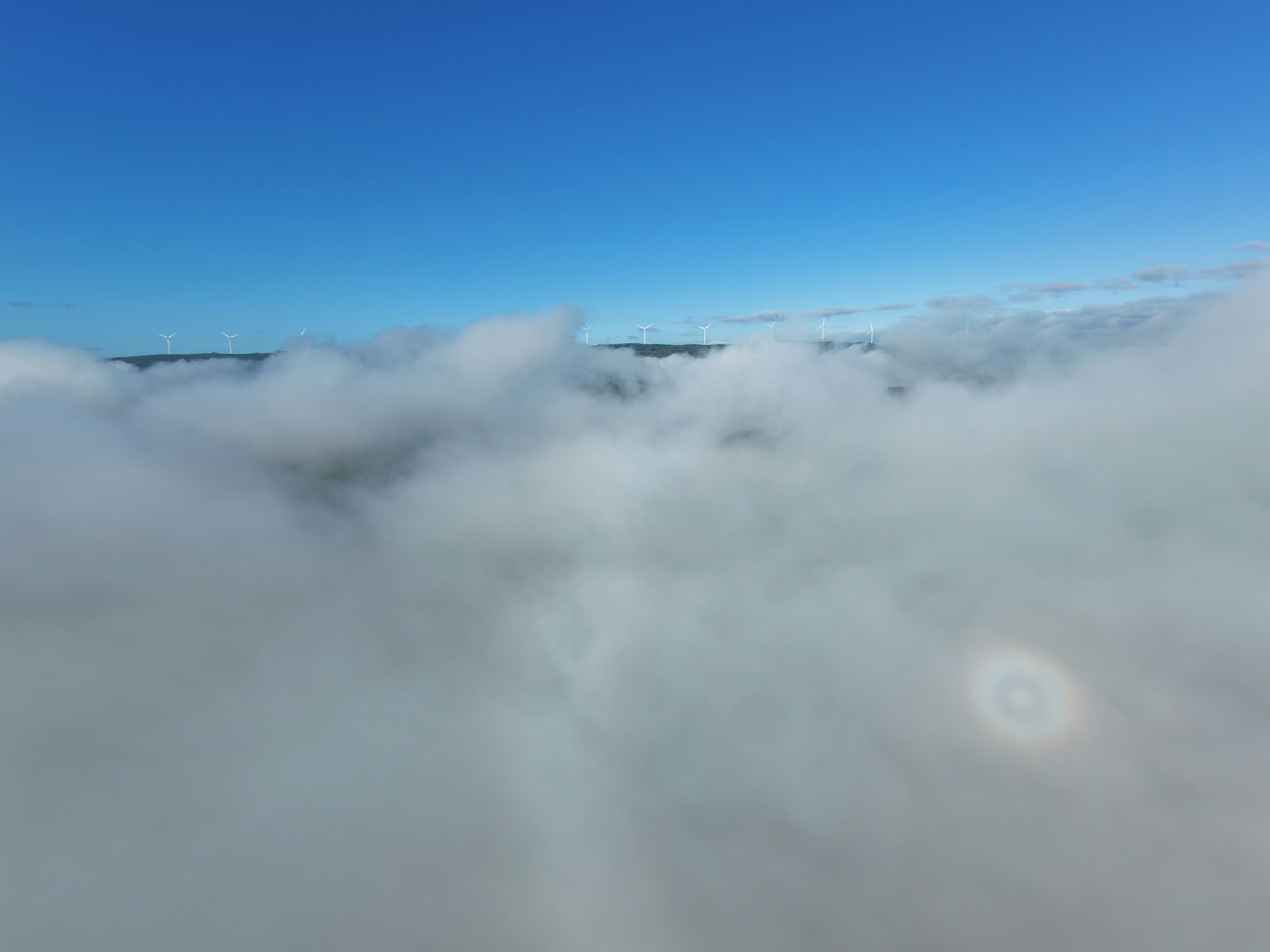 Wind turbines stand along a ridge above low clouds beneath a blue sky.