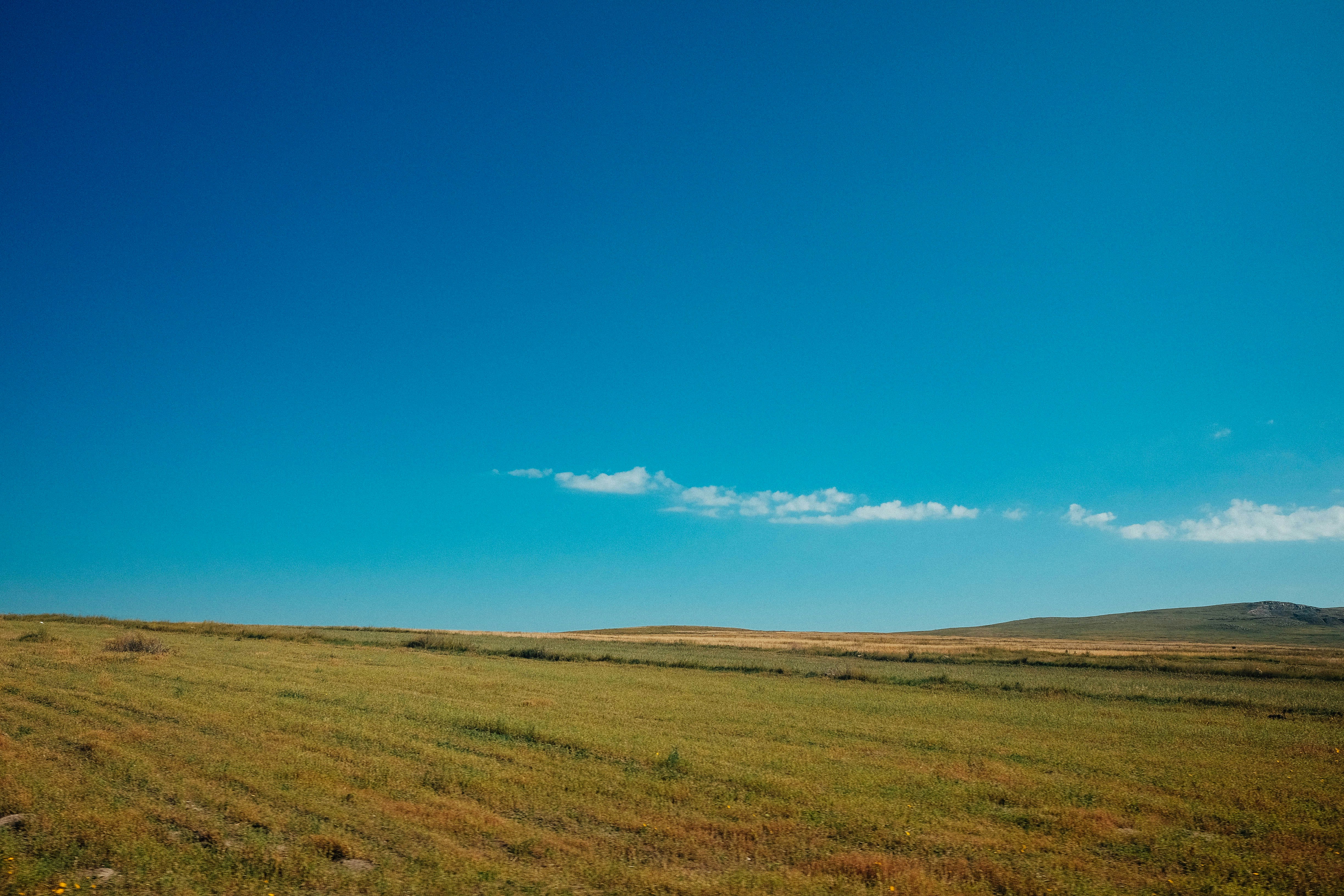 Horizon of Quiet Blue: Wide Open Prairie Under a Pristine Sky
