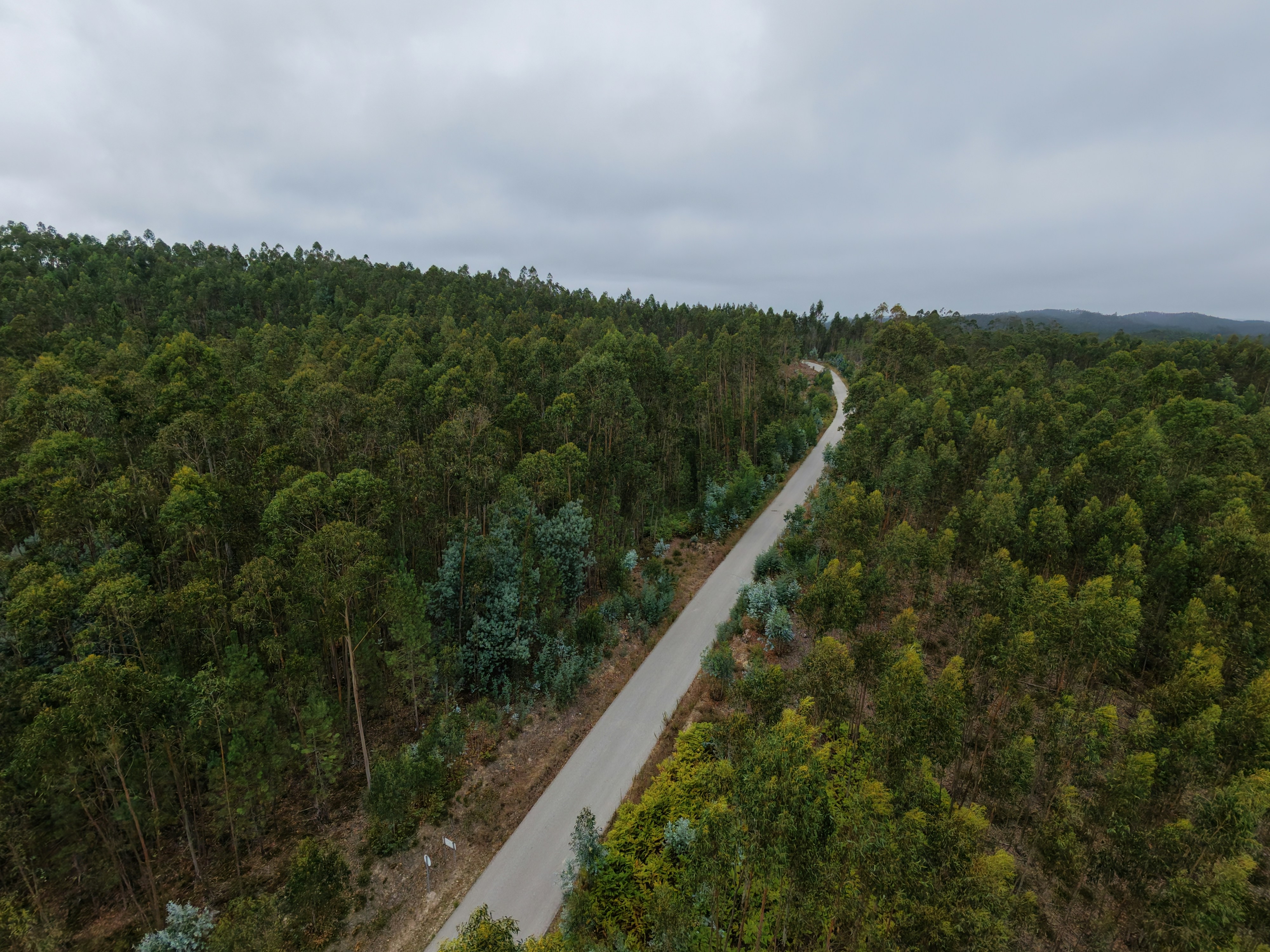 Aerial view of a paved road winding through forest beneath an overcast sky.