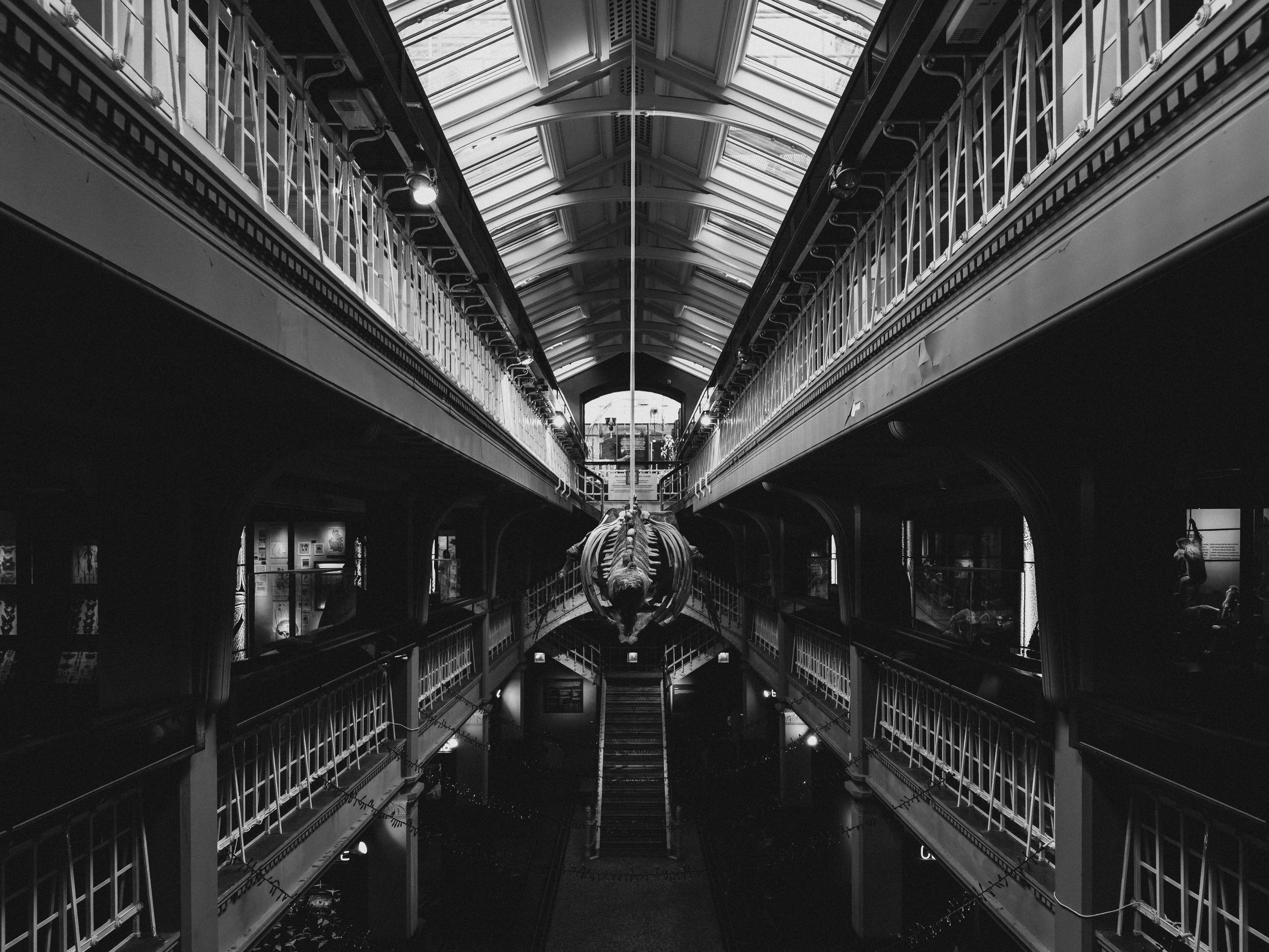 Symmetric Transit: A Centered Iron-Vaulted Corridor