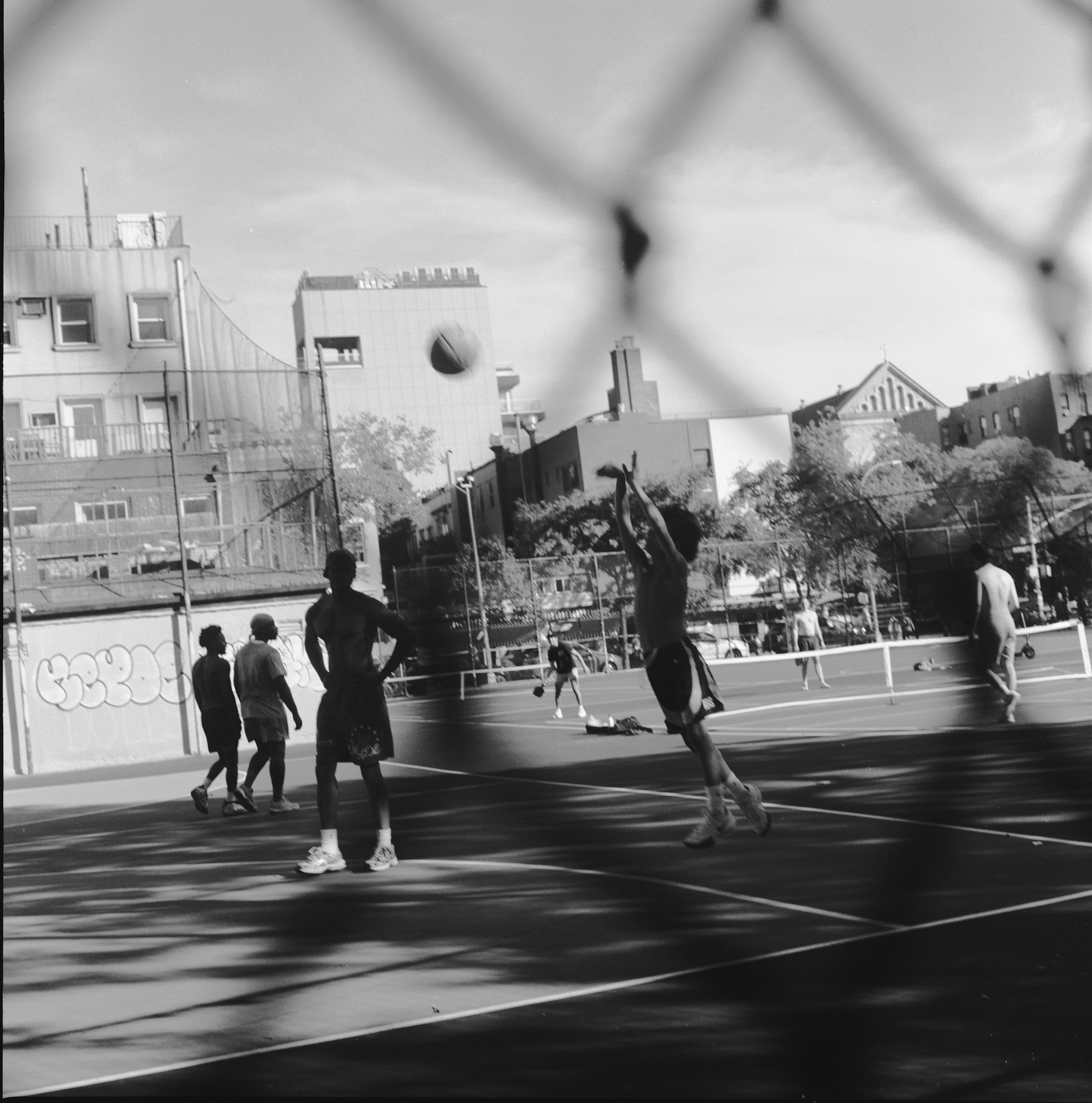 Shadowball in the Fence-yard: a City Court under Afternoon Light