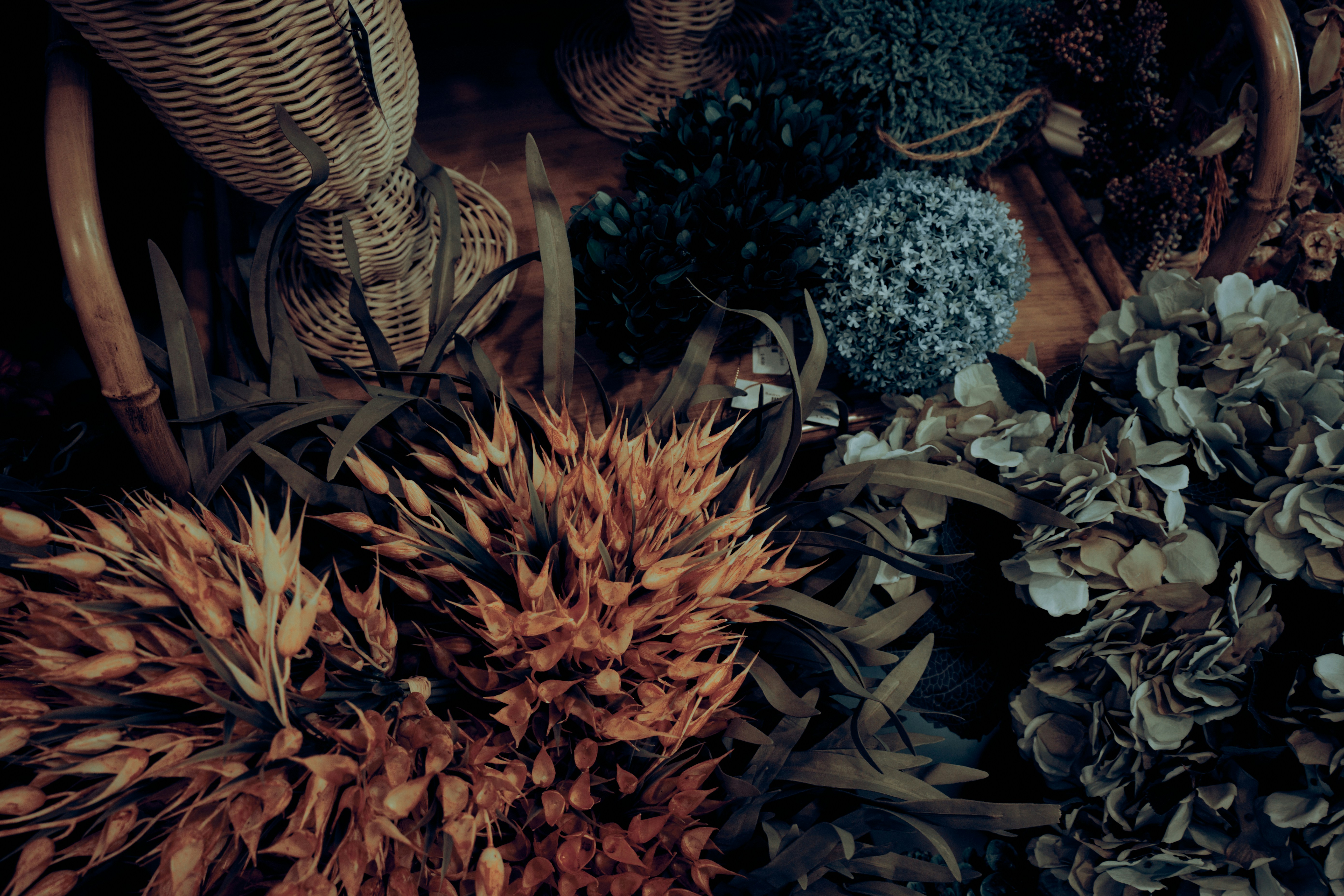 Autumnal Bouquet in Quiet Shadow