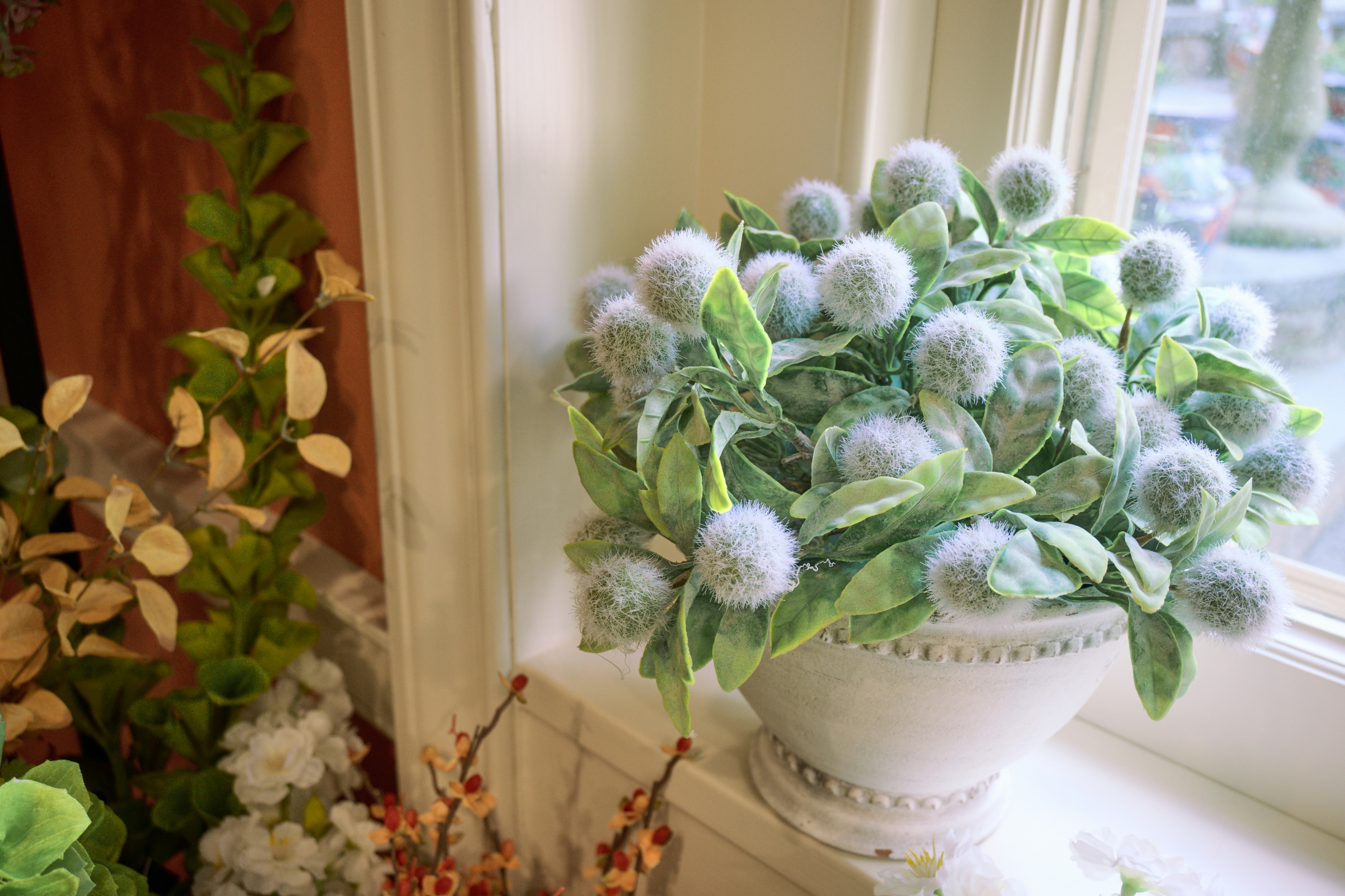 Window-View Blooms: Furled Eucalyptus Buds in a Ceramic Urn