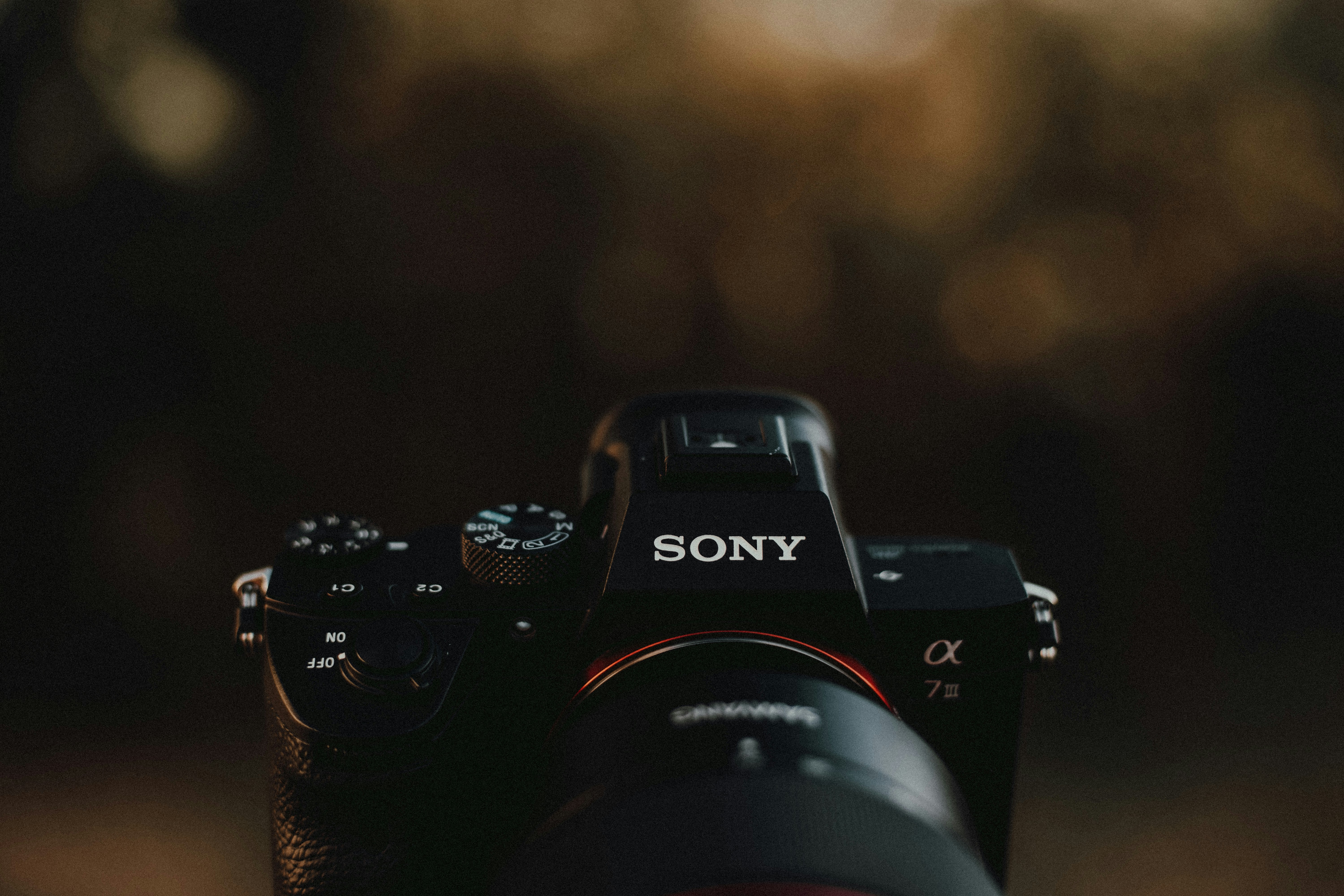 Eyes on the Lens: A Close-Up of a Sony Alpha Muscling Through the Frame