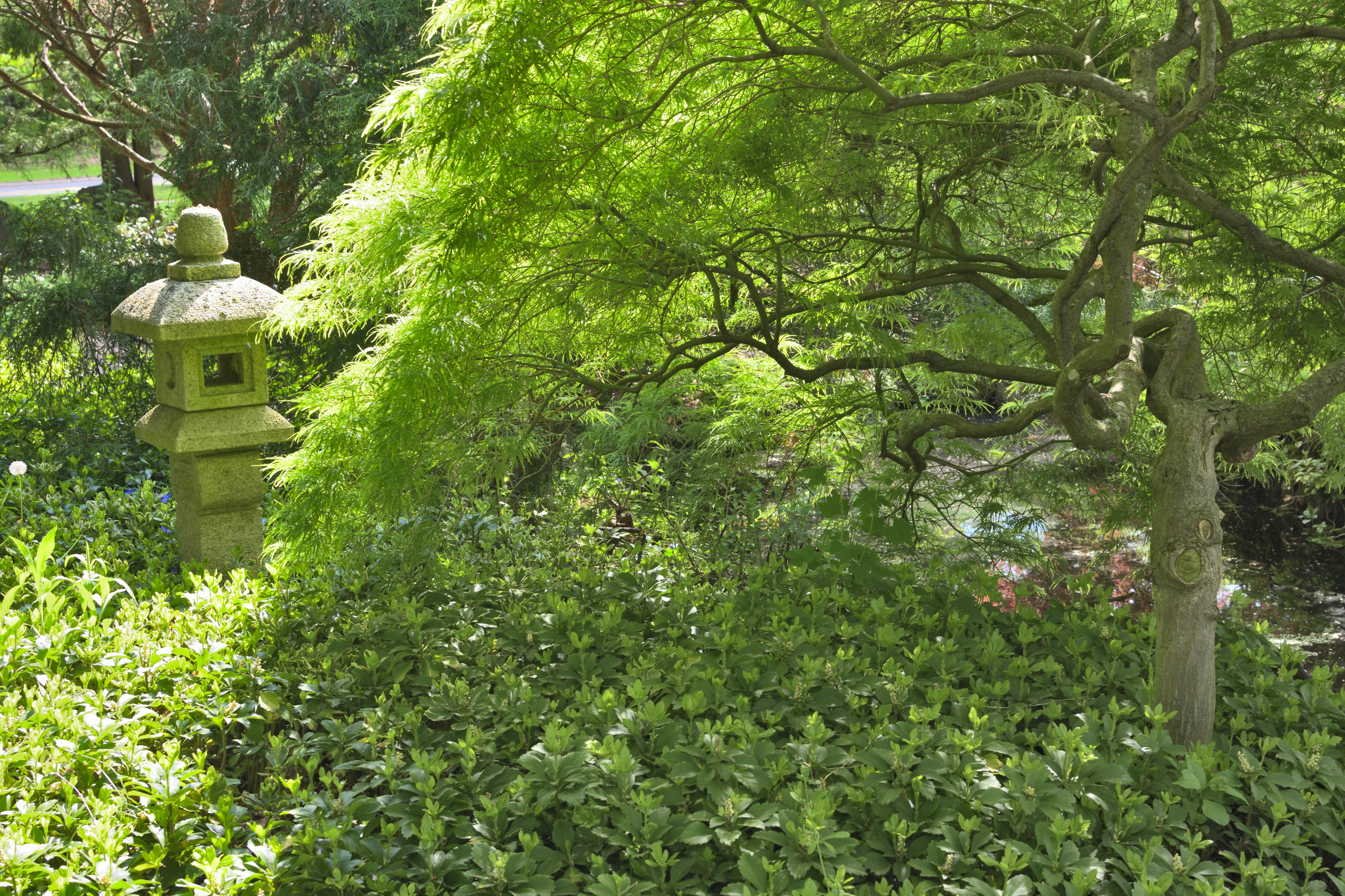 Tranquil Japanese-Style Garden Lantern Nestled Among Verdant Foliage
