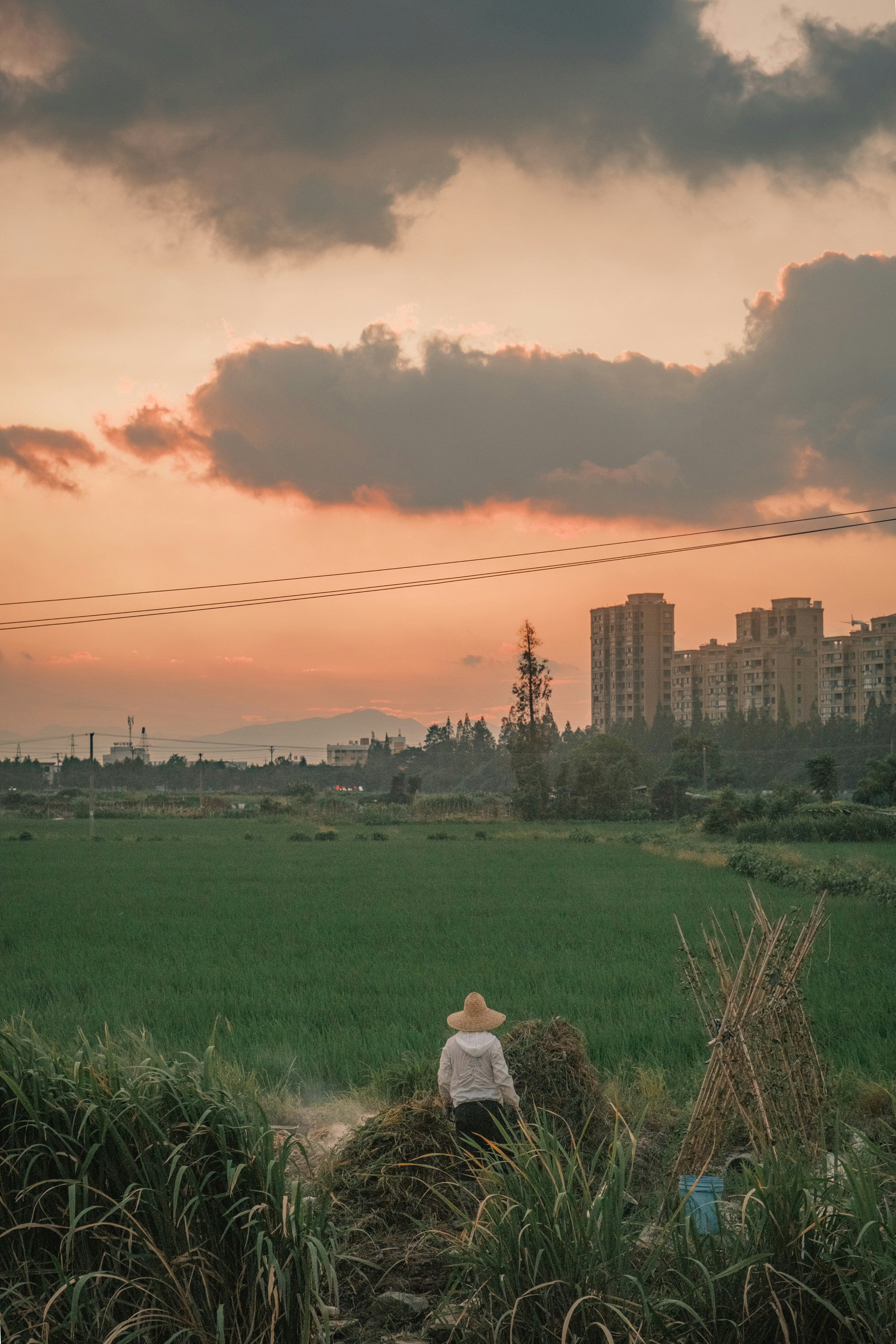 Harvest at Dusk: A Farmer in the Field Beneath a Flaming Sky