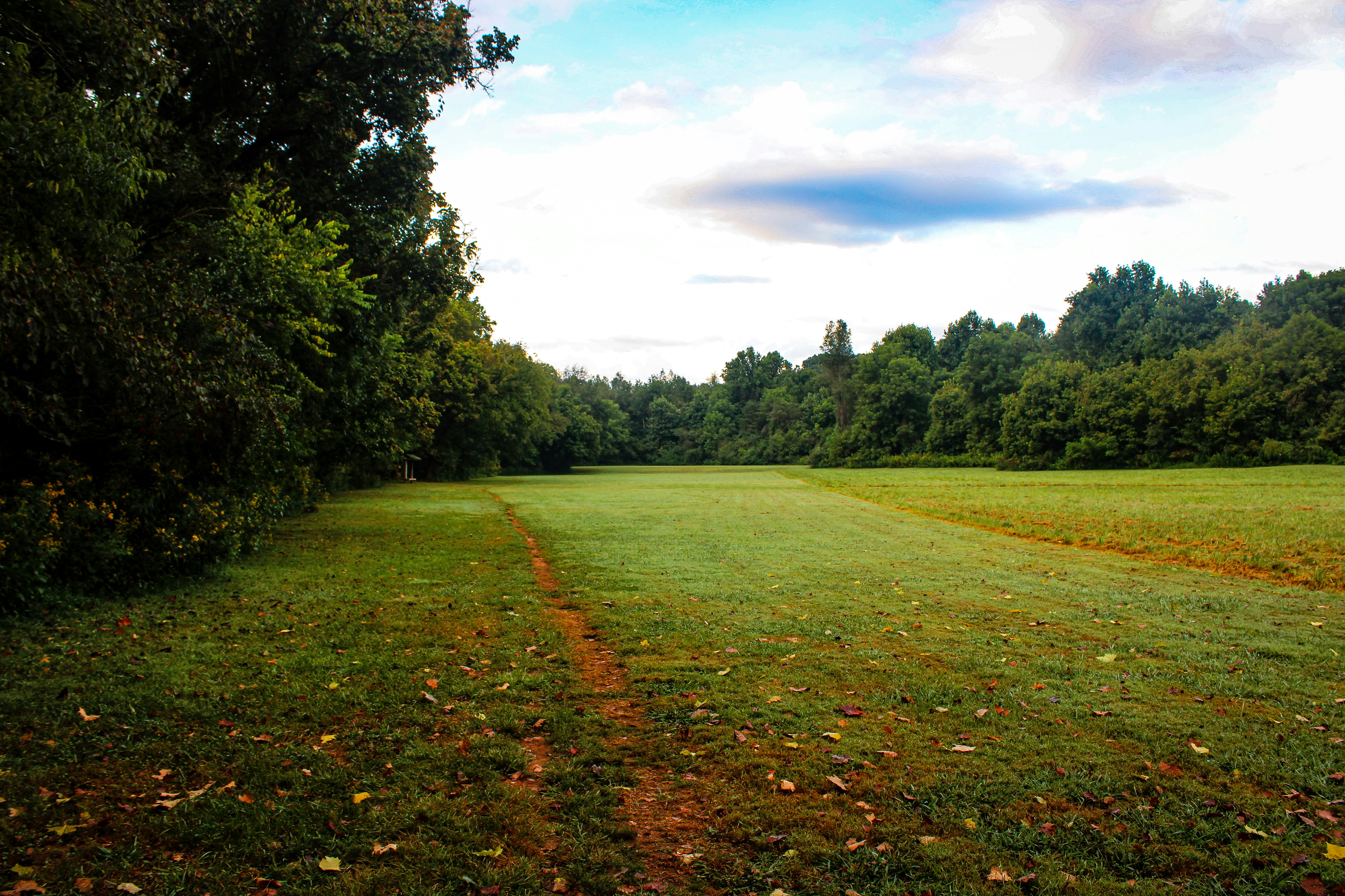 Open Field Ridge: A Quiet Path Through Autumn-Lued Light
