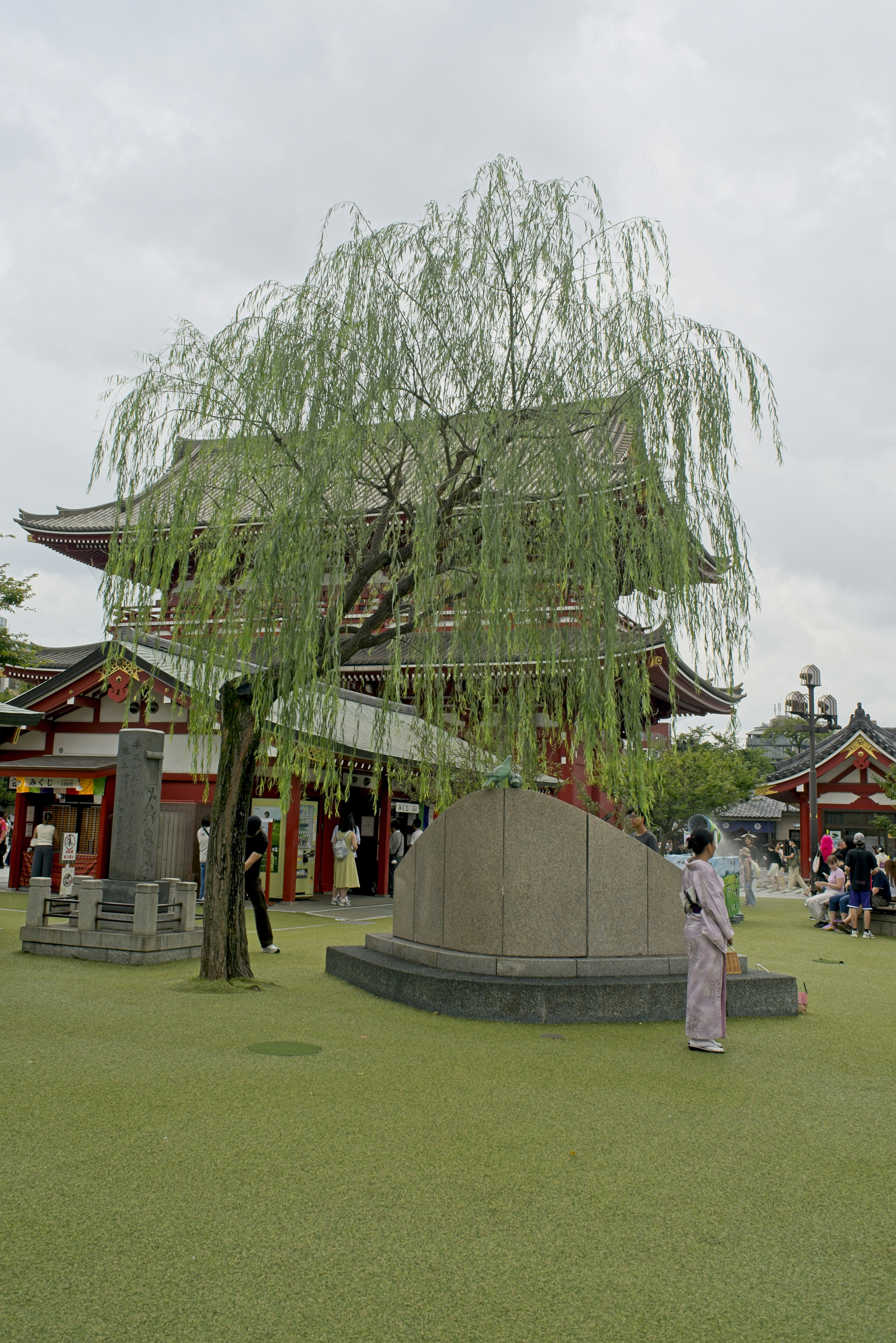 A woman in a lilac kimono pauses beside a large granite monument beneath the cascading branches of a mature weeping willow at Senso-ji's temple grounds. The tree's delicate leaves frame the tiered red-and-grey roofline of the temple hall behind it, while visitors relax on the manicured lawn nearby. This tranquil composition captures a quiet moment of contemplation within Asakusa's bustling temple complex on an overcast July afternoon.