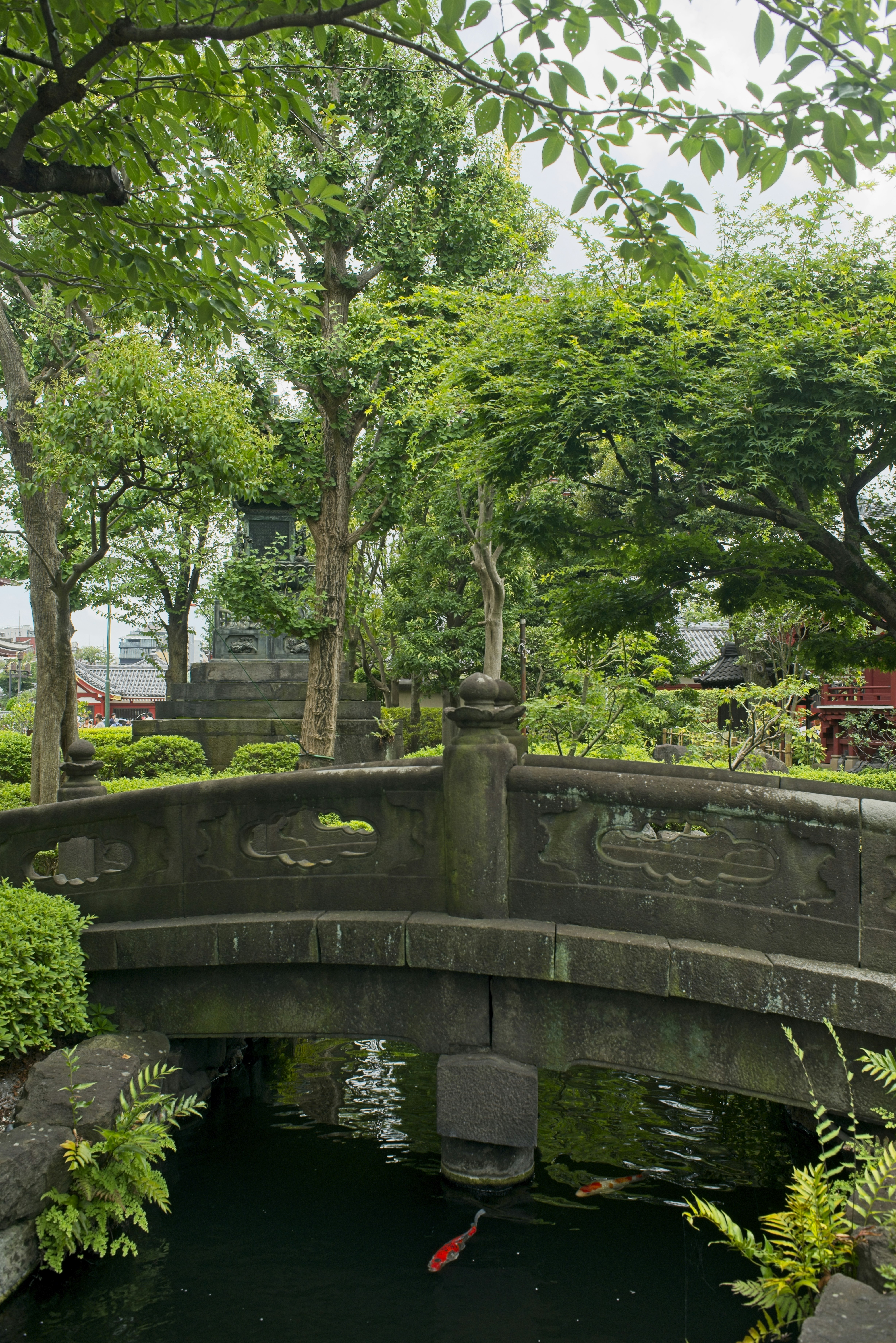 A weathered stone bridge arches over a dark koi pond within Senso-ji's temple grounds, its carved balustrades showcasing traditional Japanese craftsmanship. Vivid orange and red koi swim beneath the reflective water, while dense greenery and a stone monument fill the background. Glimpses of temple rooftops peek through the trees in the distance. This tranquil garden corner offers a peaceful, shaded retreat from Asakusa's bustling streets on a warm July afternoon.