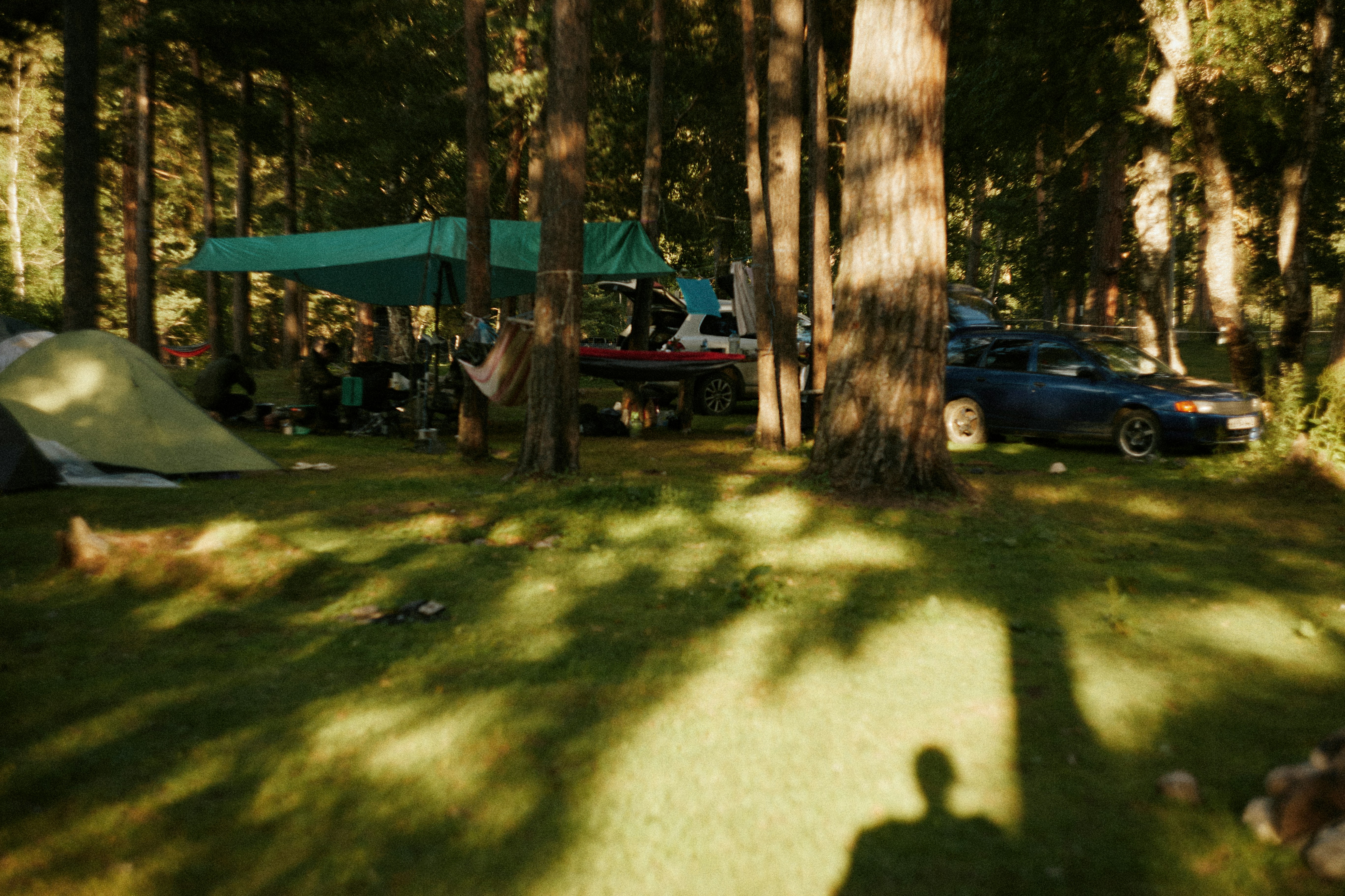 Sunlit Campground Mosaic Under Tall Pines