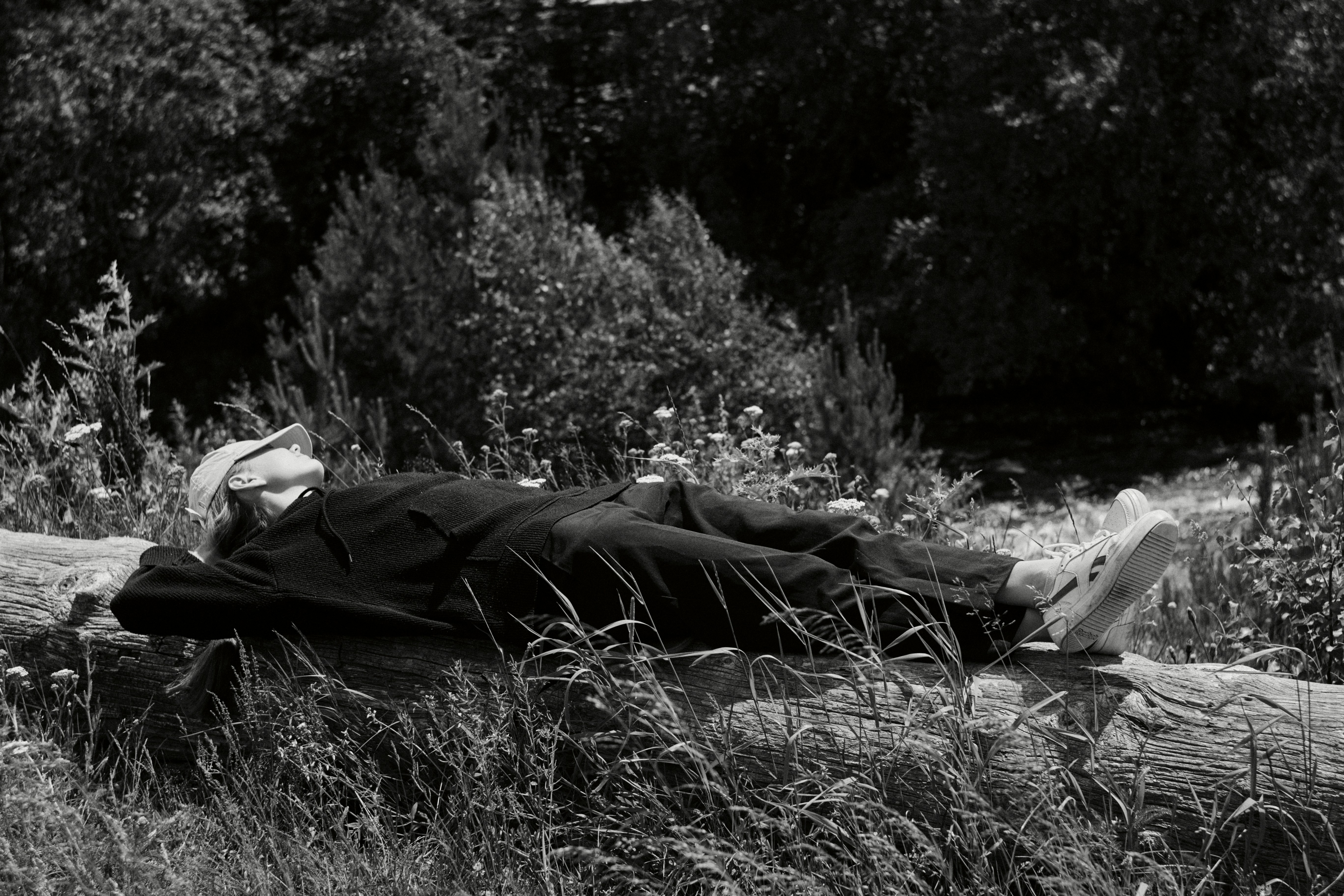 Resting in the Wild: A Quiet Recline on a Weathered Log