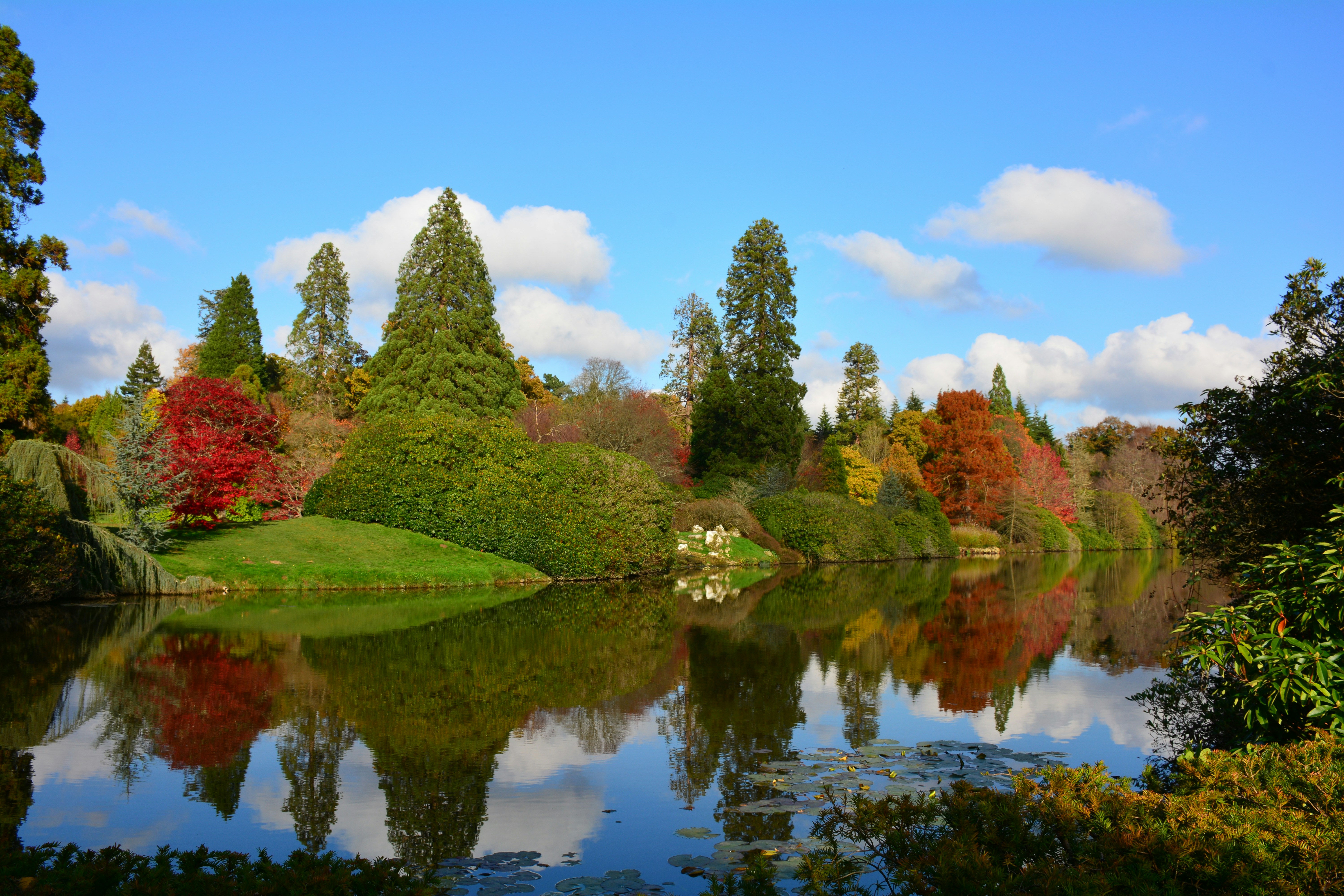 Symmetrical Autumn: Lake Mirror in a Quiet Japanese-Style Garden