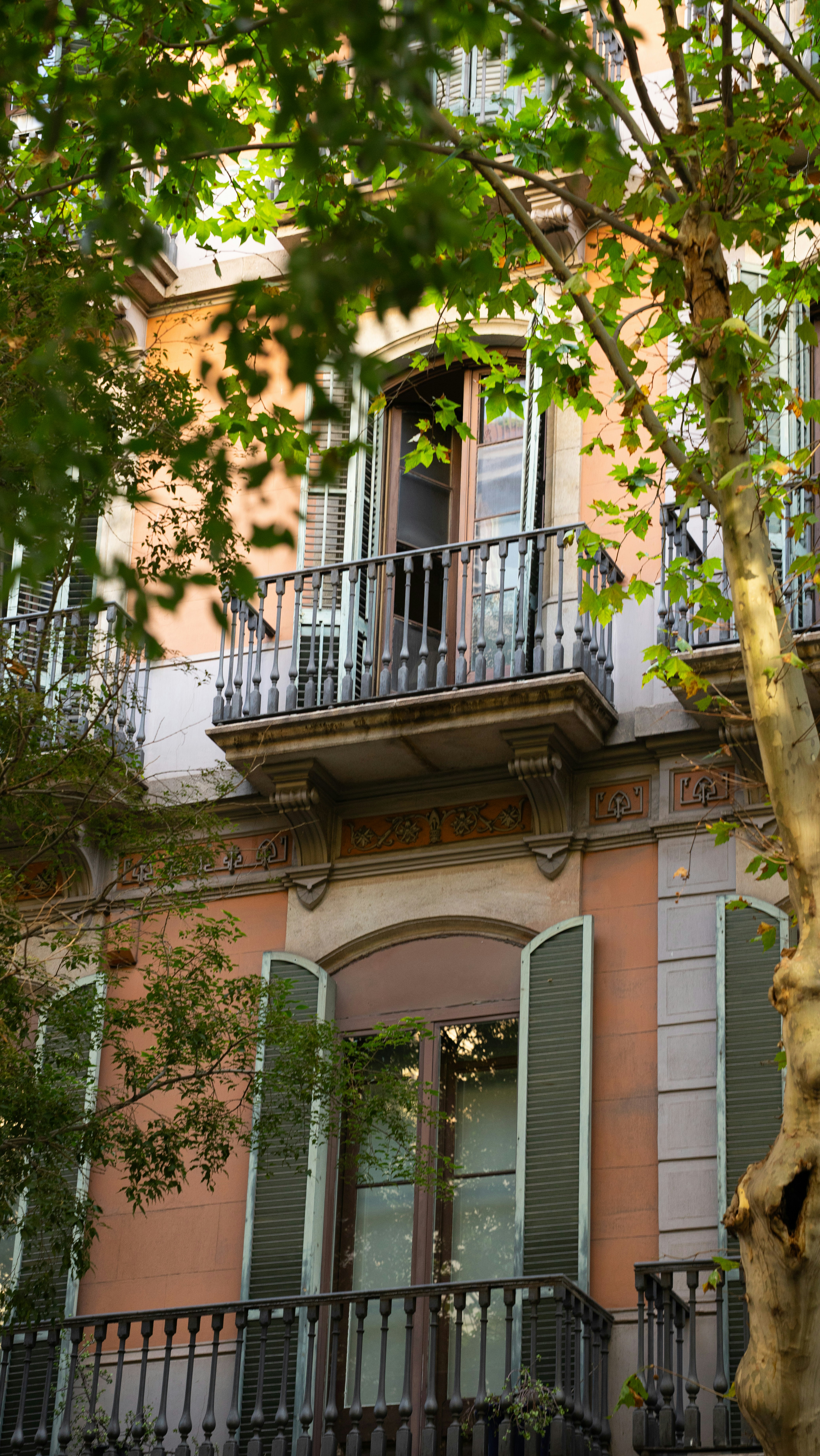 Sunlit Balcony Facade Amid Green Canopy