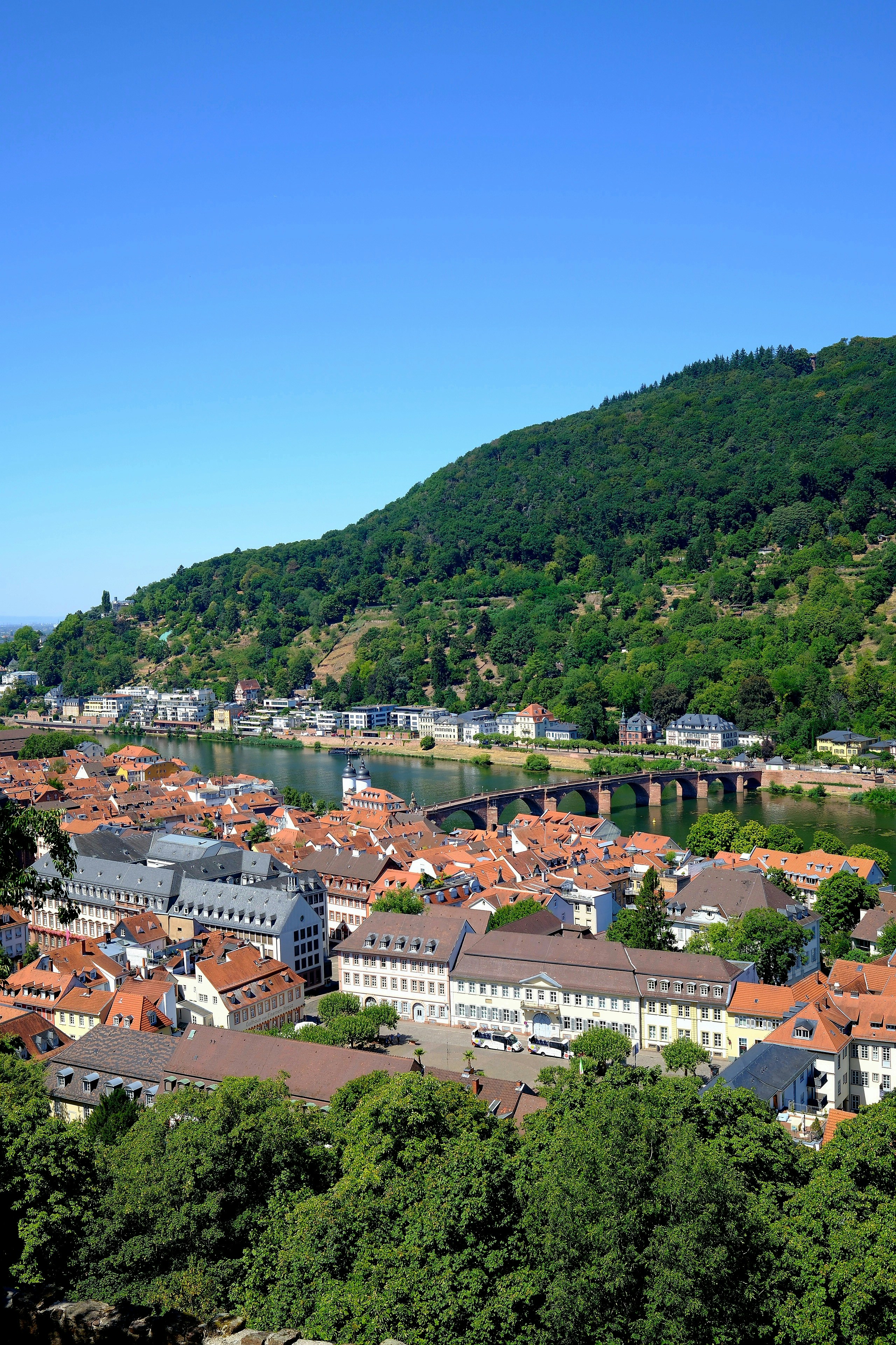 Riverside Roofscape Beneath a Verdant Hill