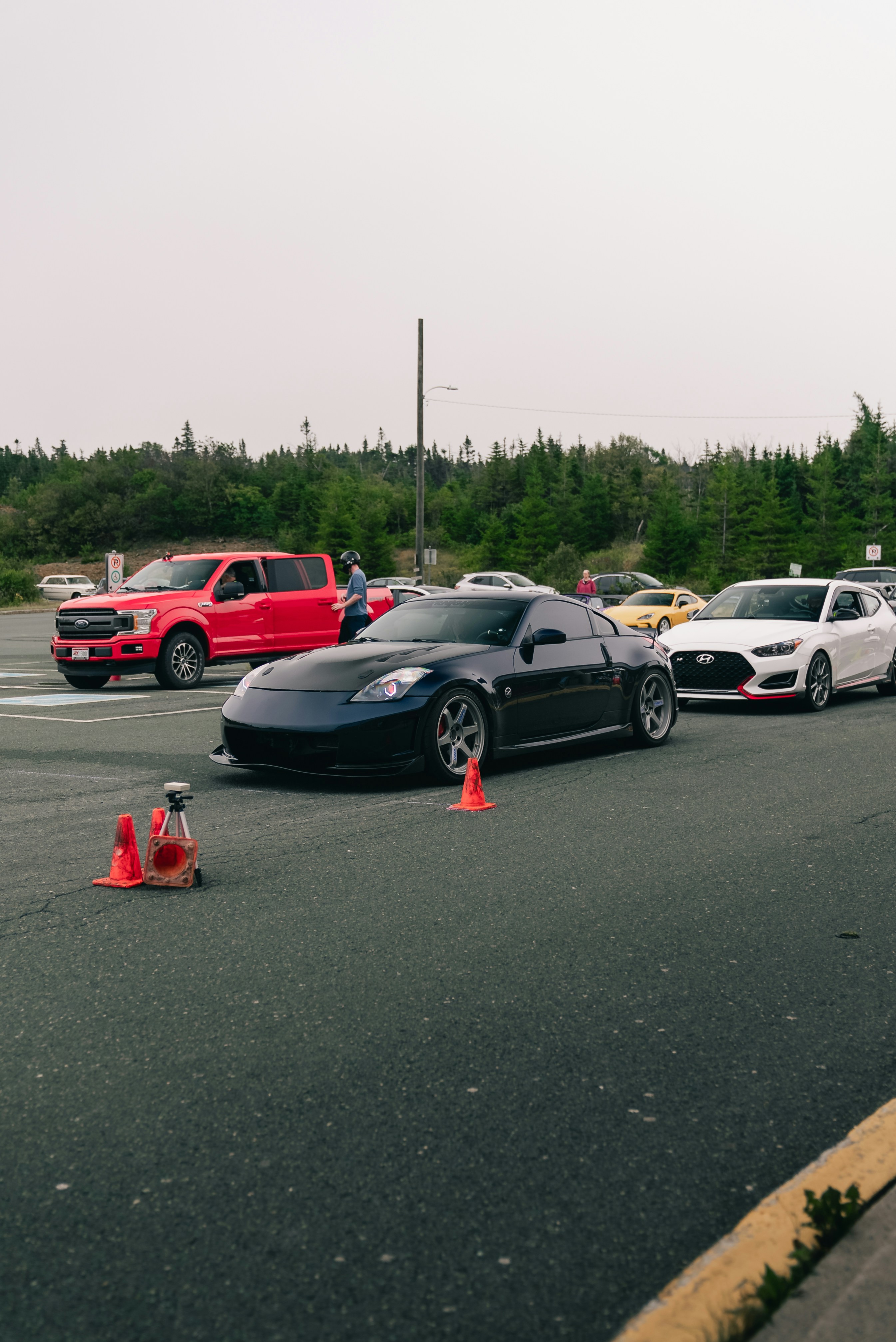 Low-Slung Showdown: A Black Corvette Stands Out in a Car Meet