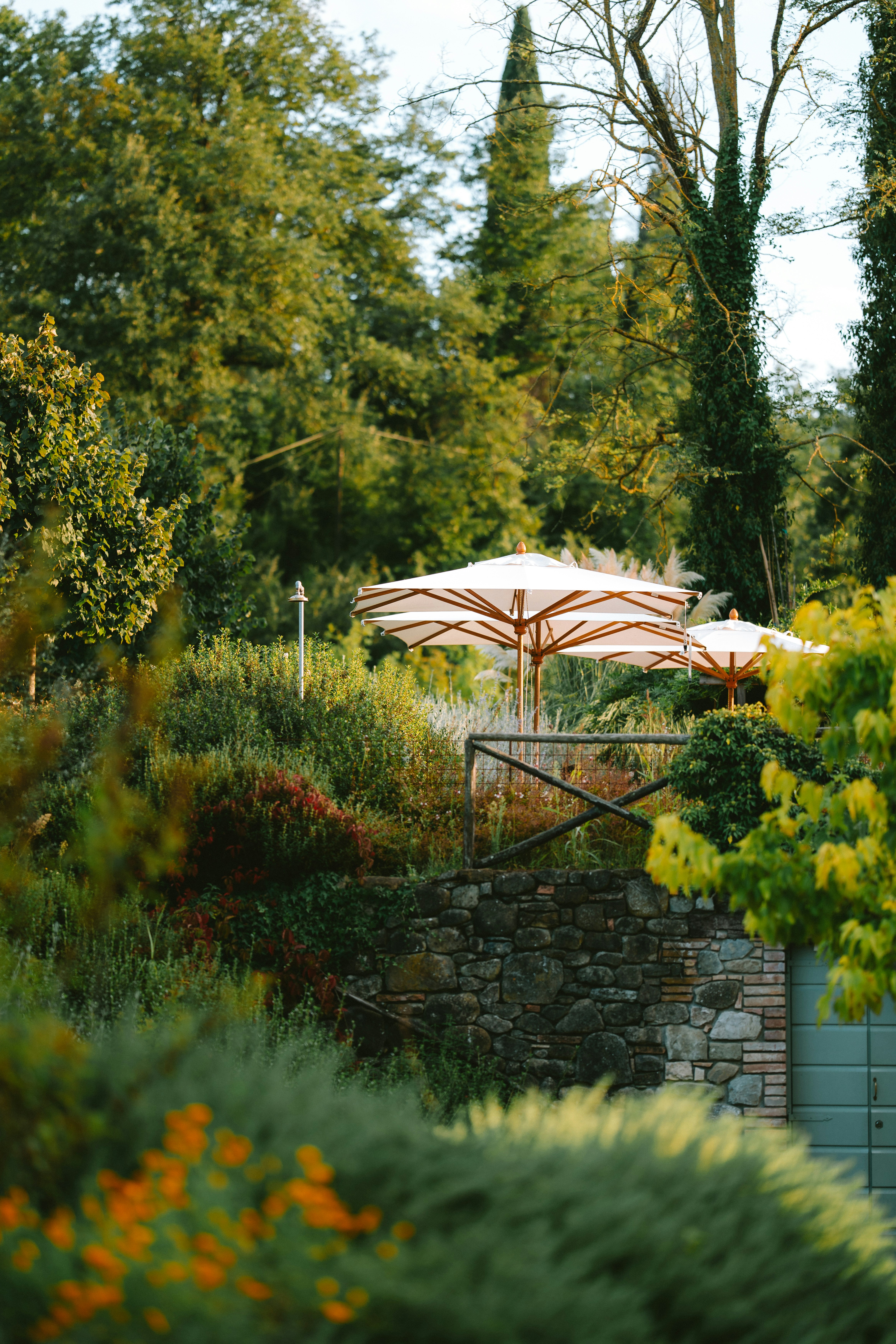 Sunlit Oasis: Patio Umbrellas Amidst a Verdant Terrace