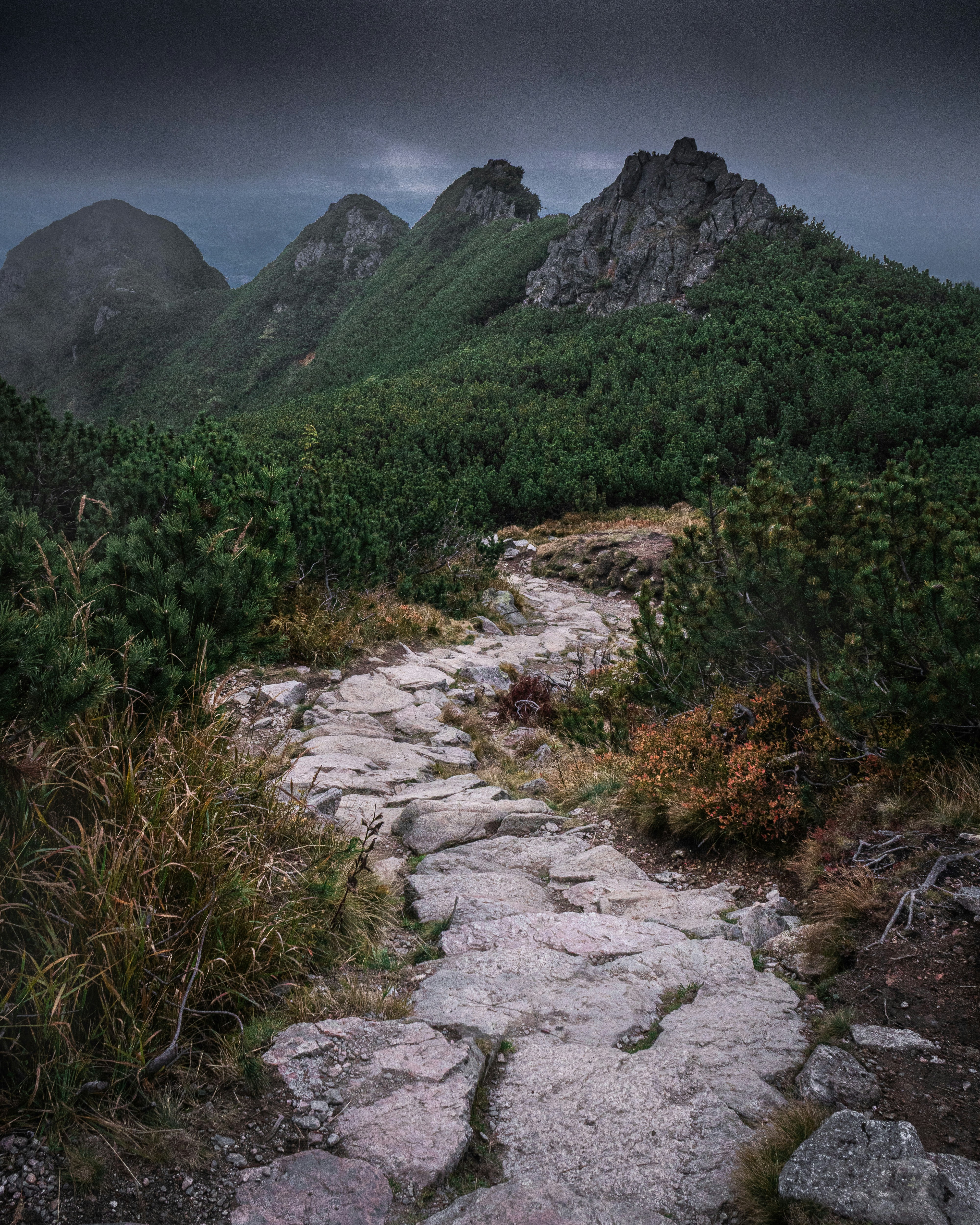 Stone Trail to the Mountain Crest