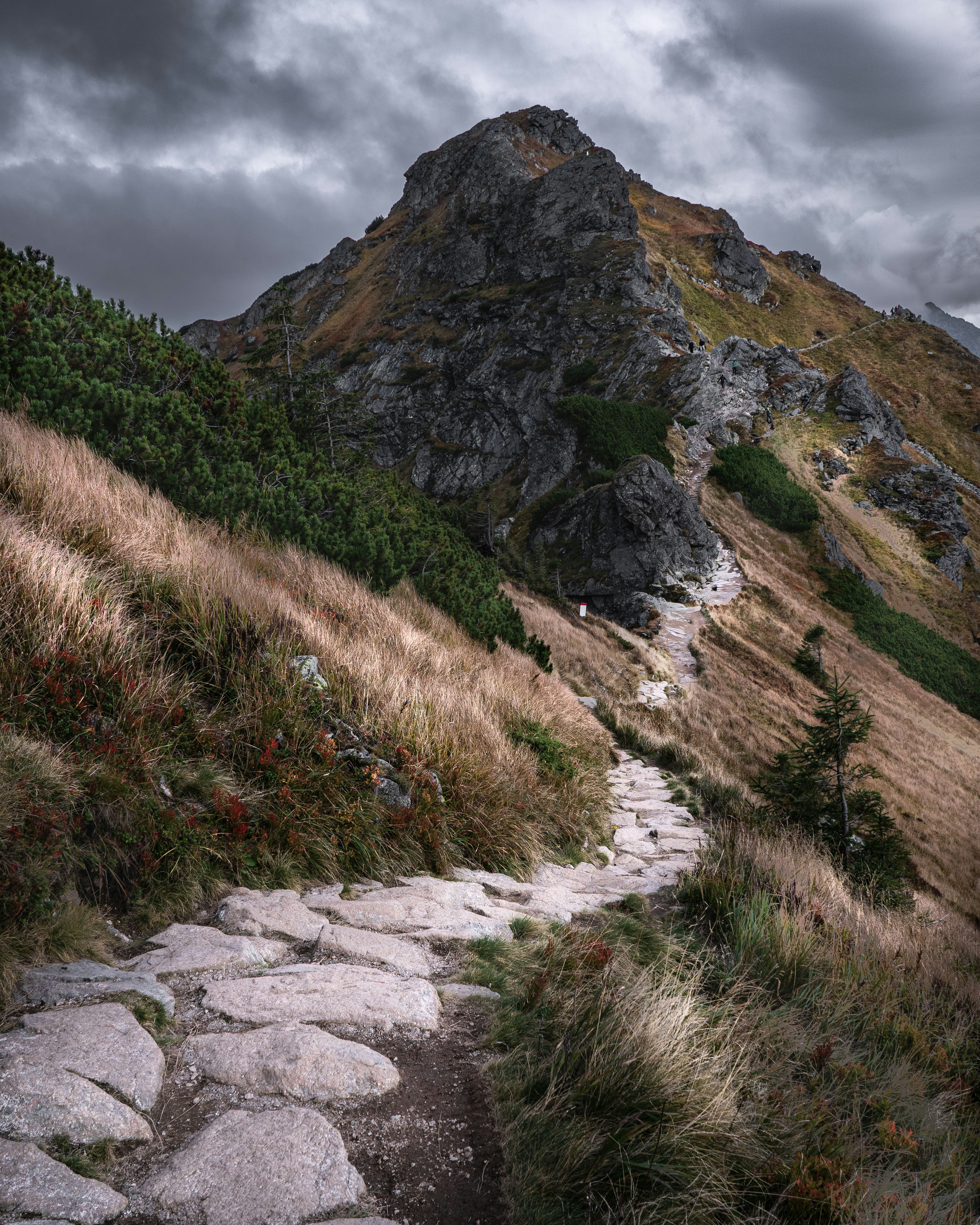 Stone Stairway to the Ridge: A Mountain Path Under Brooding Clouds
