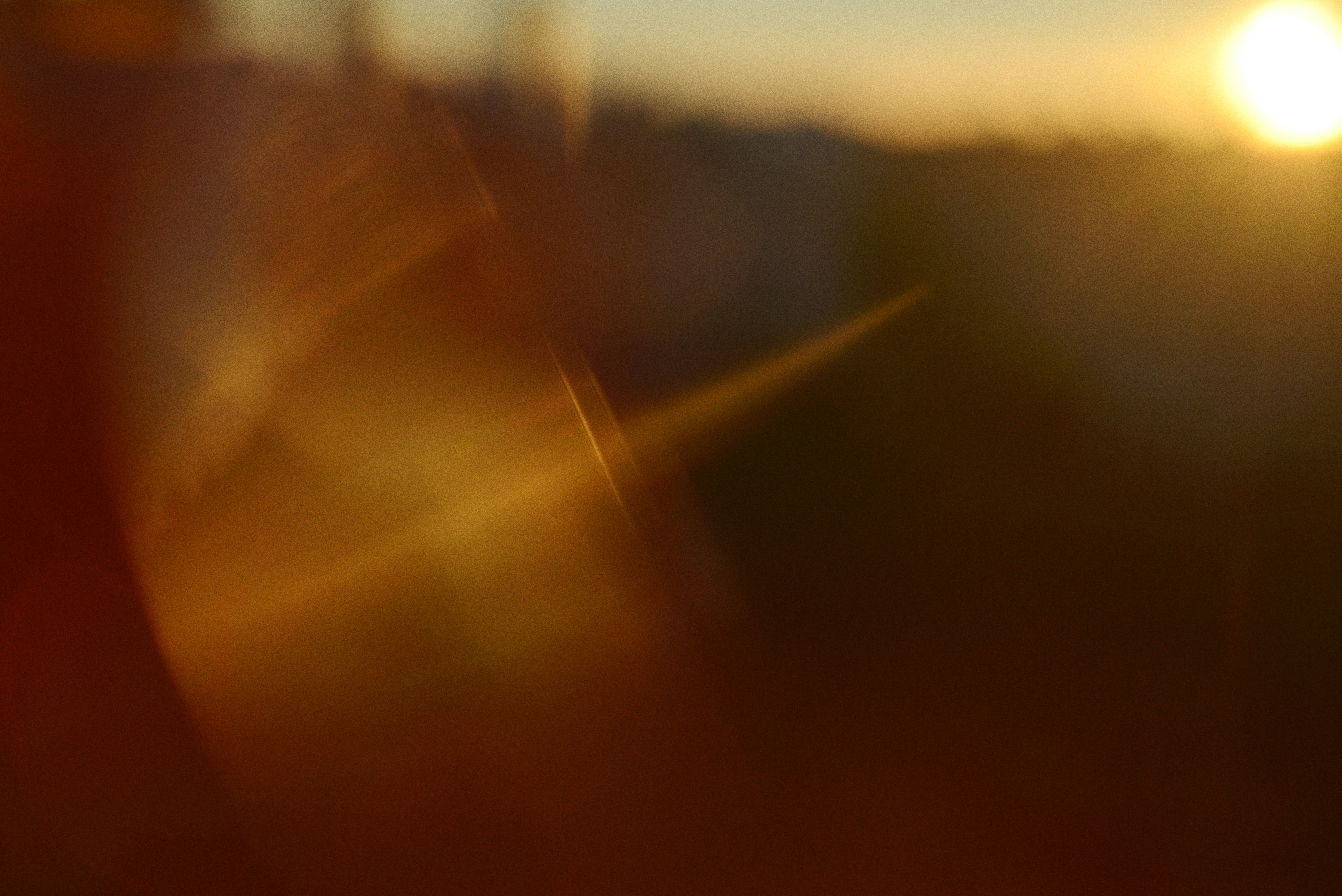 Golden Blur at Dusk: An Abstract Portrait of Light and Frame