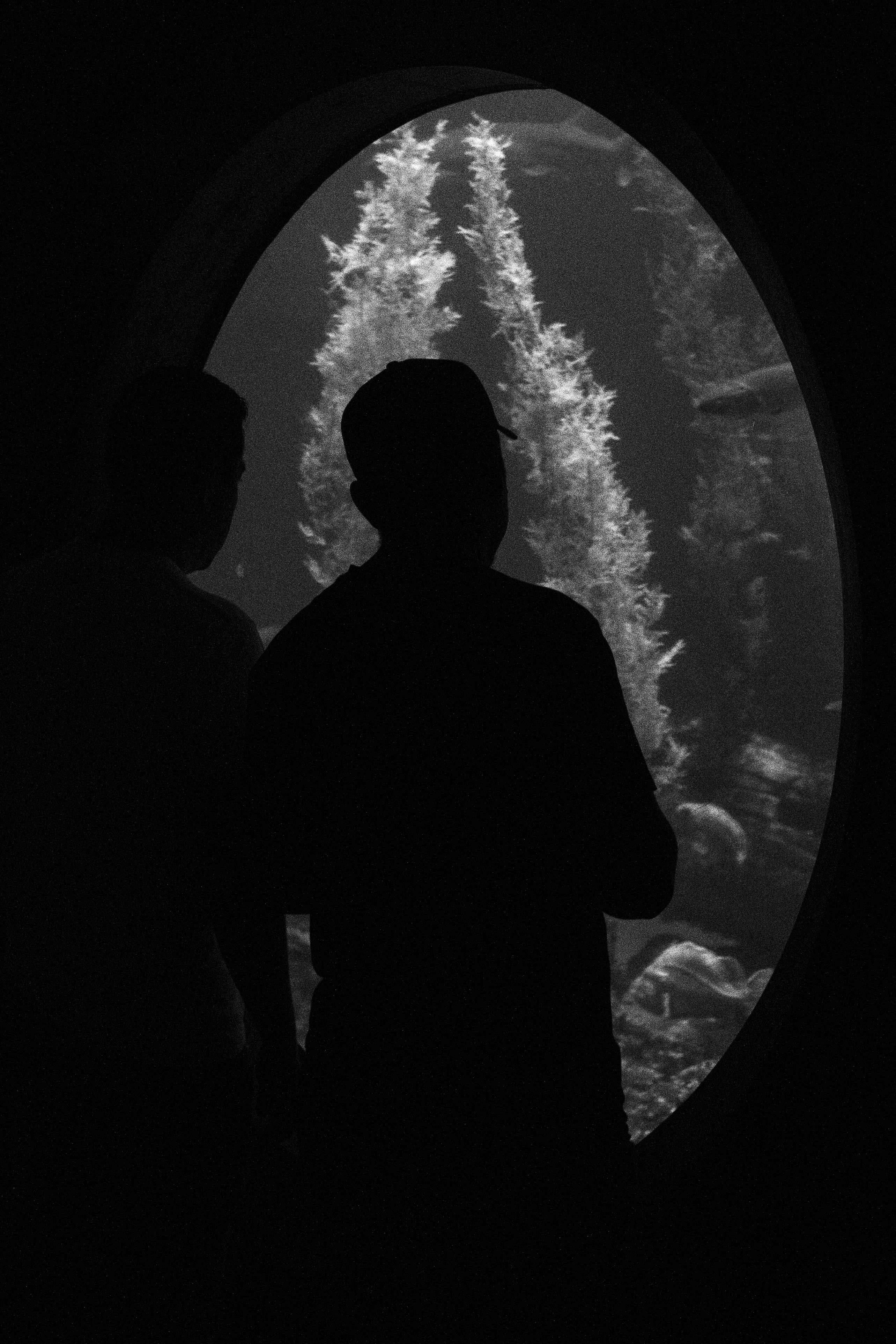 Shadowed View Through an Oval Window