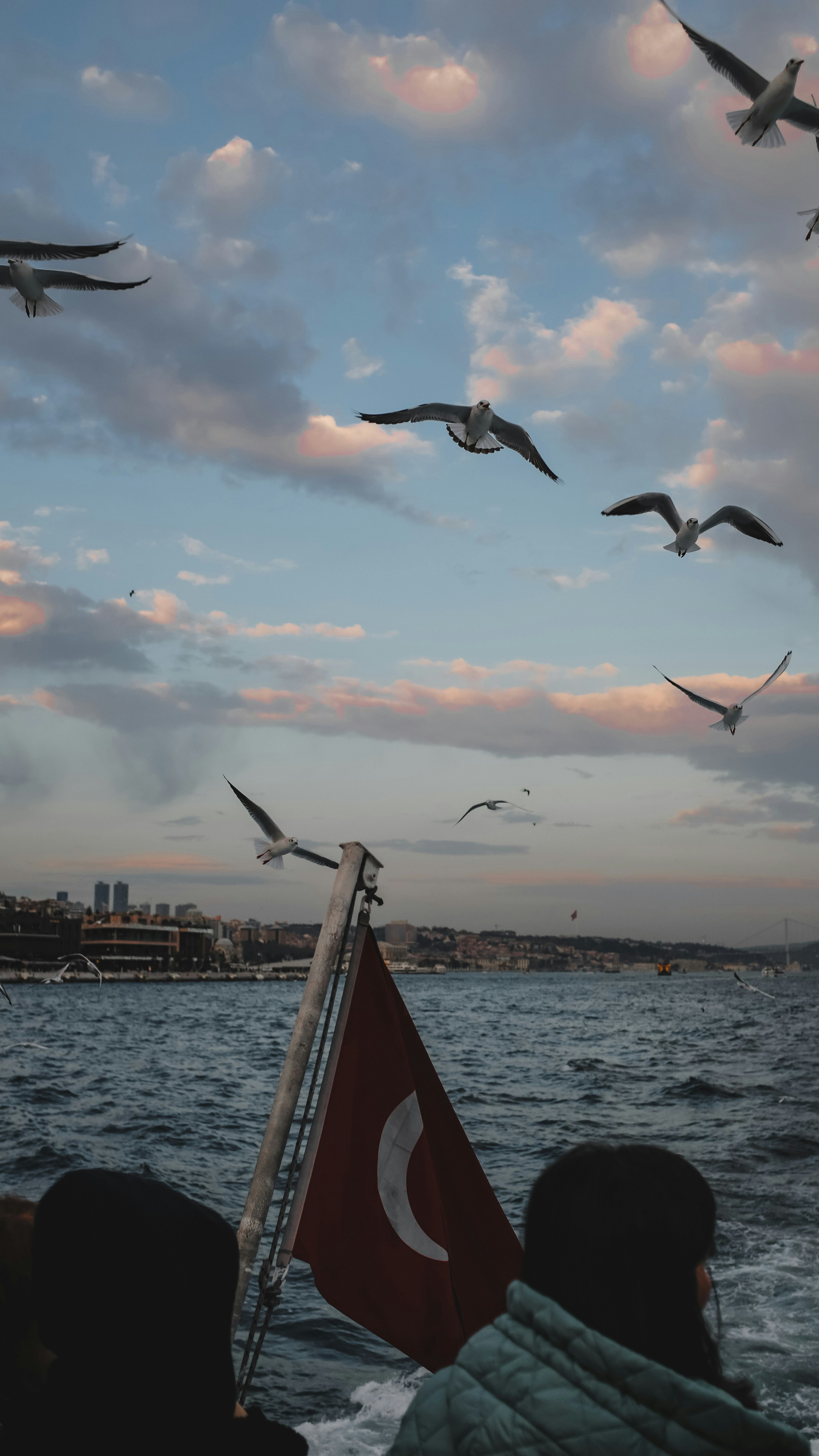Seascape Chorus: Seagulls Over a Turkish Dhow