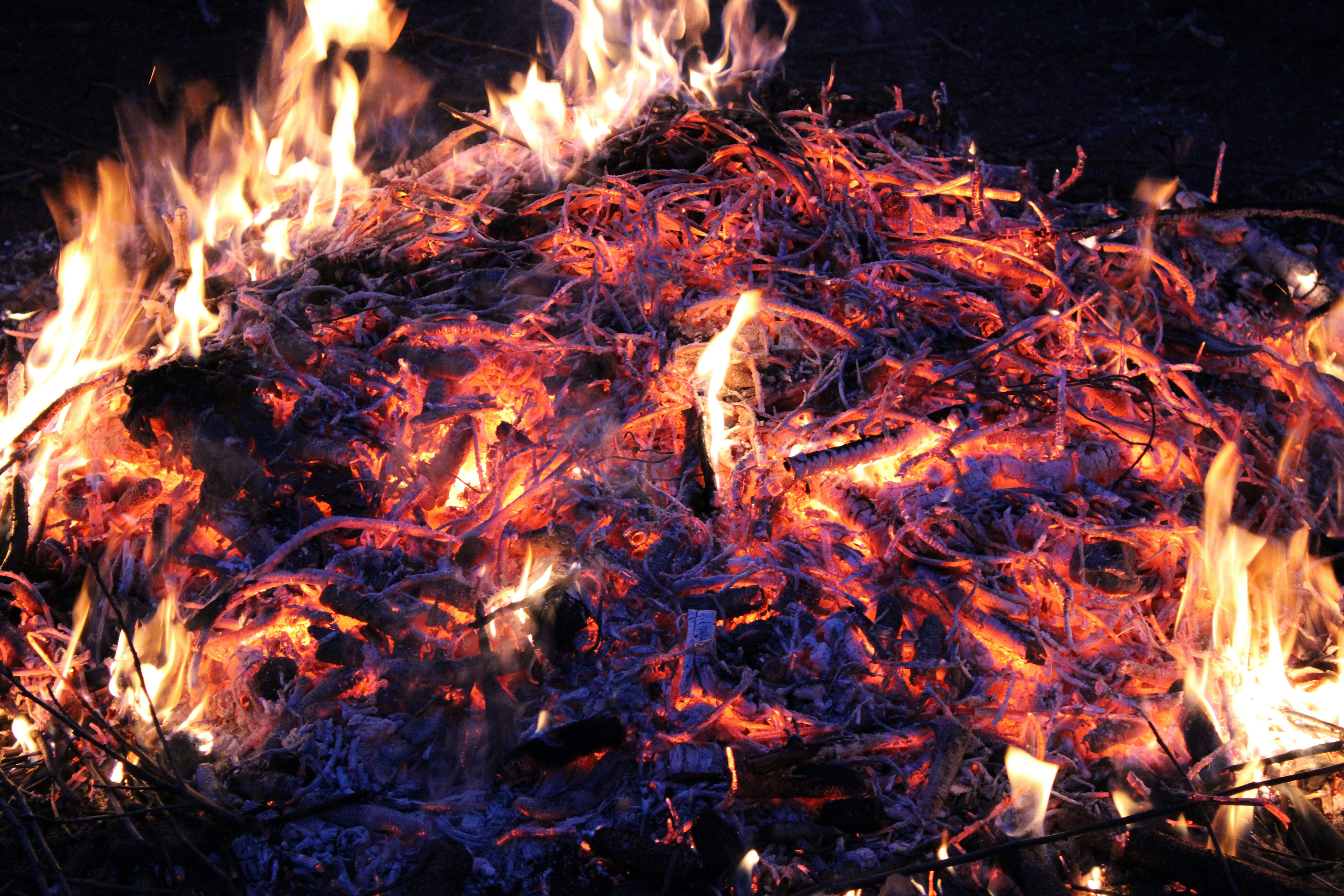 Close-up of glowing embers and dancing flames in a crackling fire, highlighting intense heat and texture of charred wood. This is a candid capture of a natural flame scene.