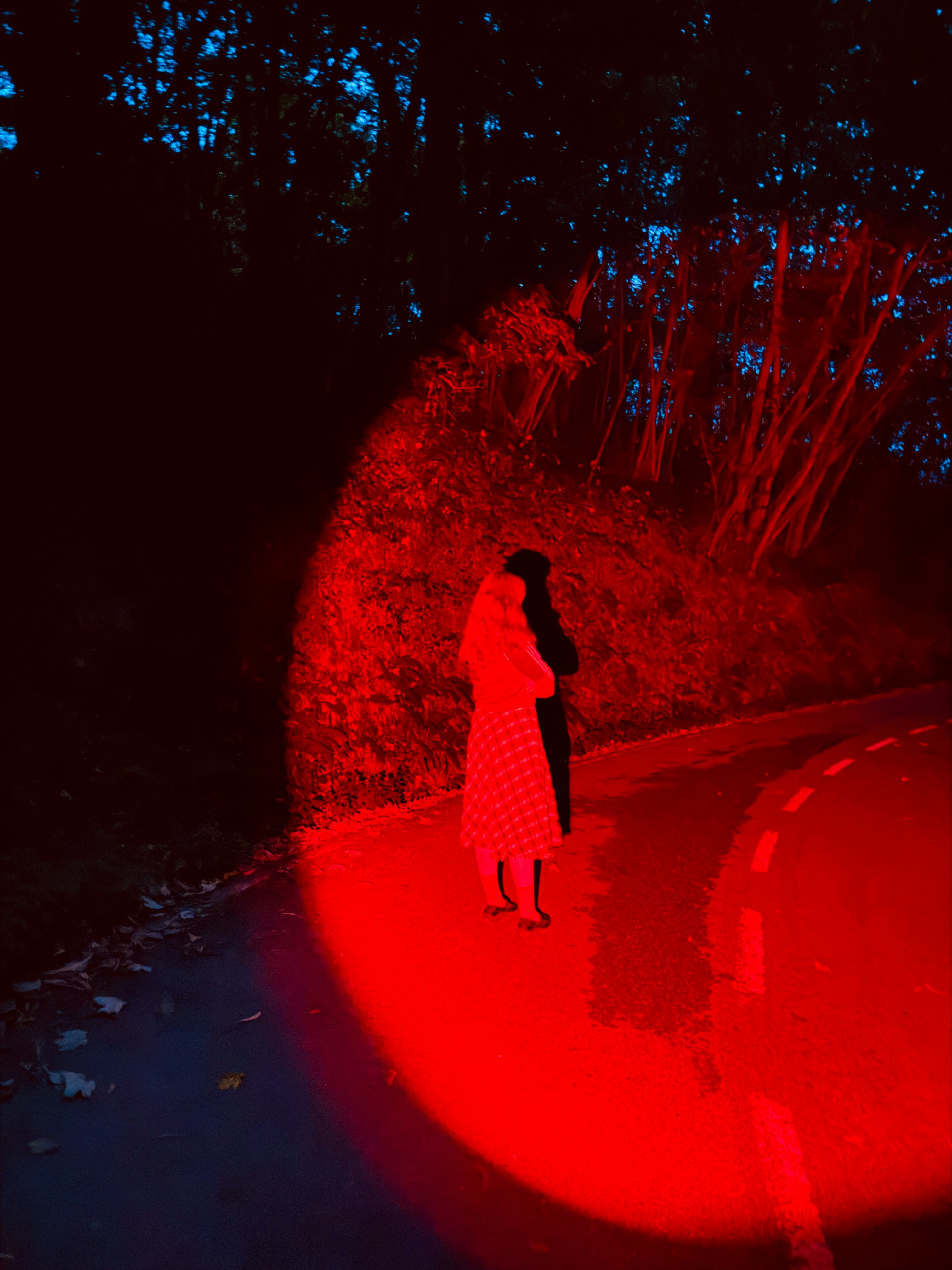 Red Spotlight Embrace: A Night Stroll Under the Trees