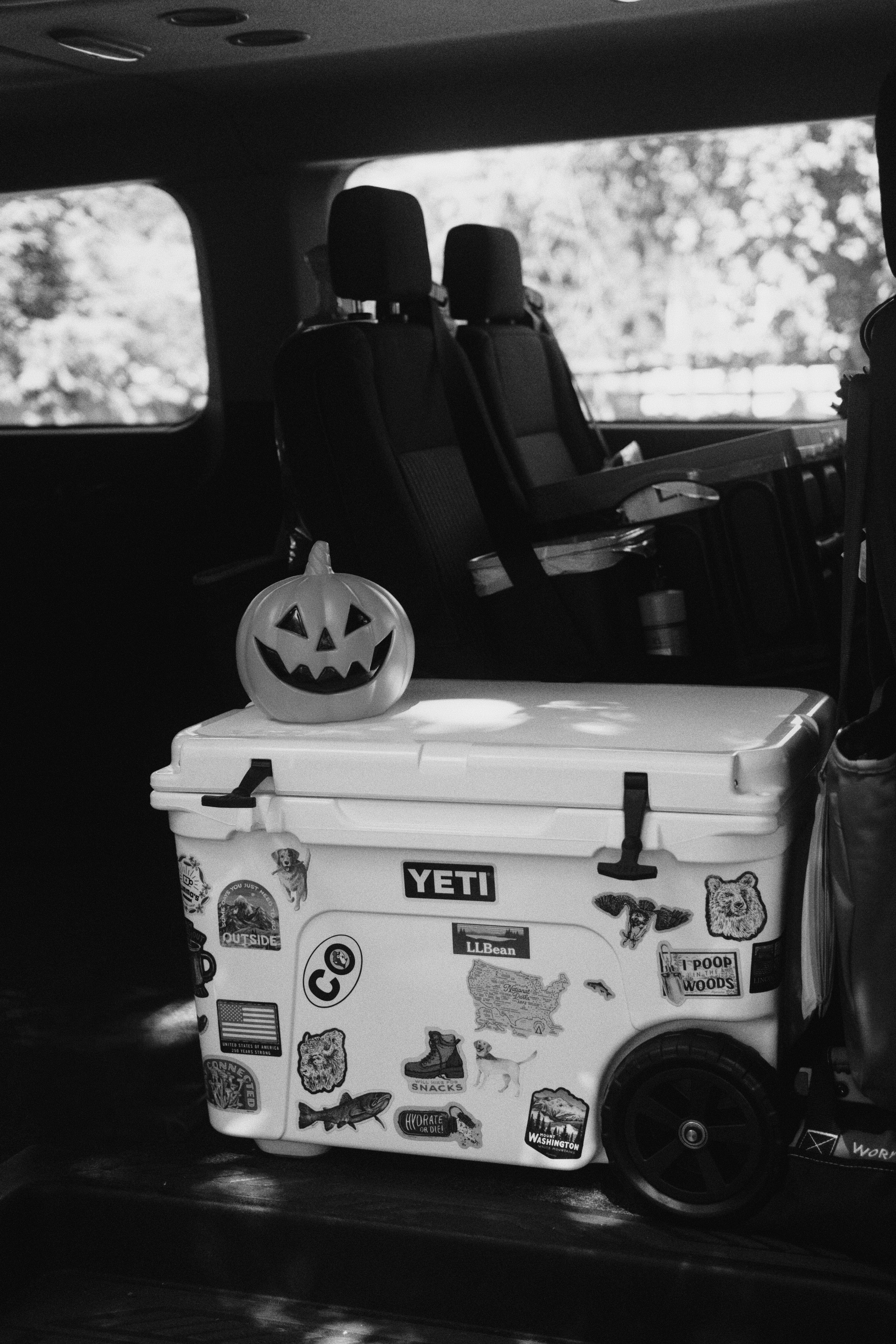 Halloween Haul: A Pumpkin Shrine in a Quiet Van