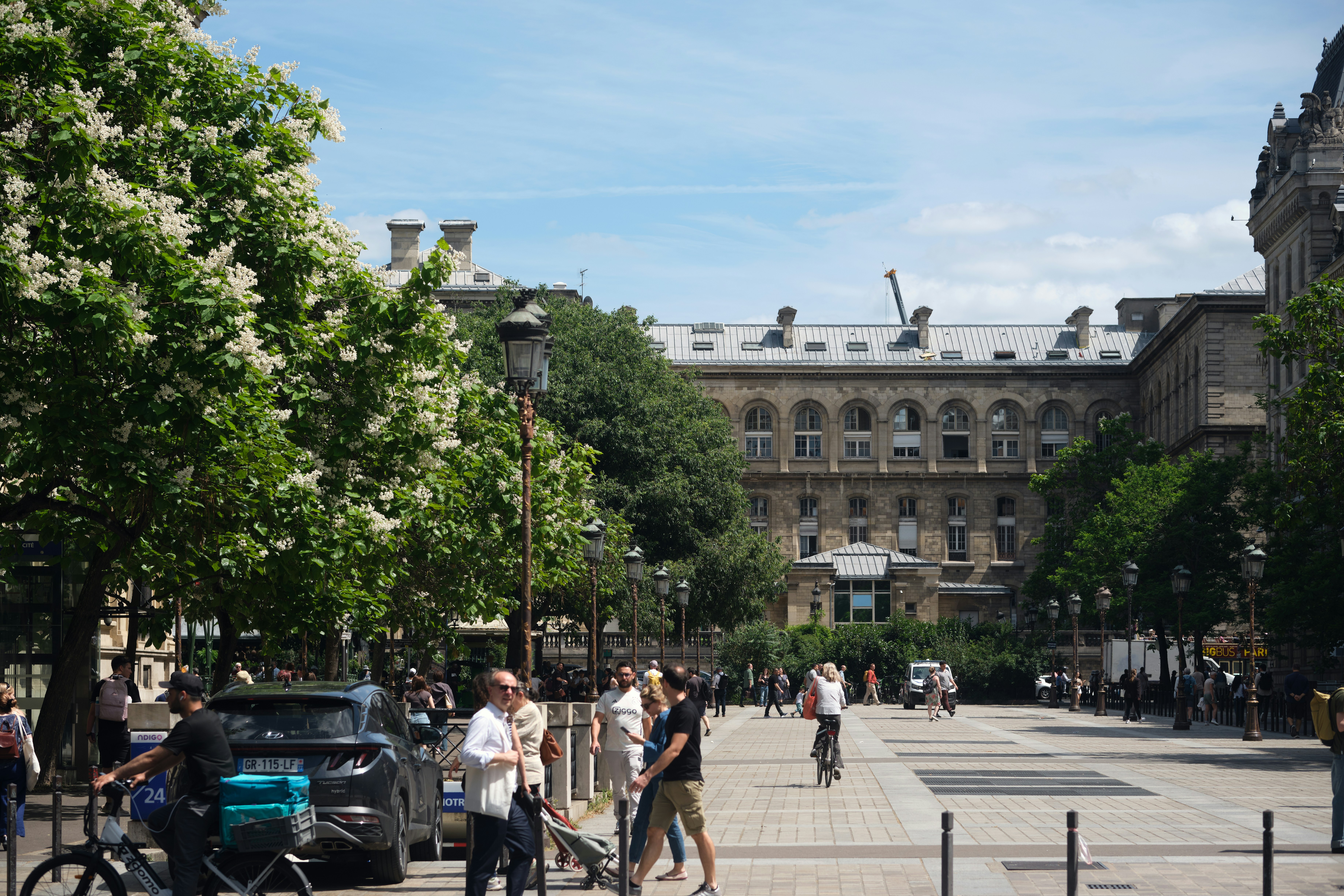 City Square in Bloom: A Sunlit Day Among the Pedestrians