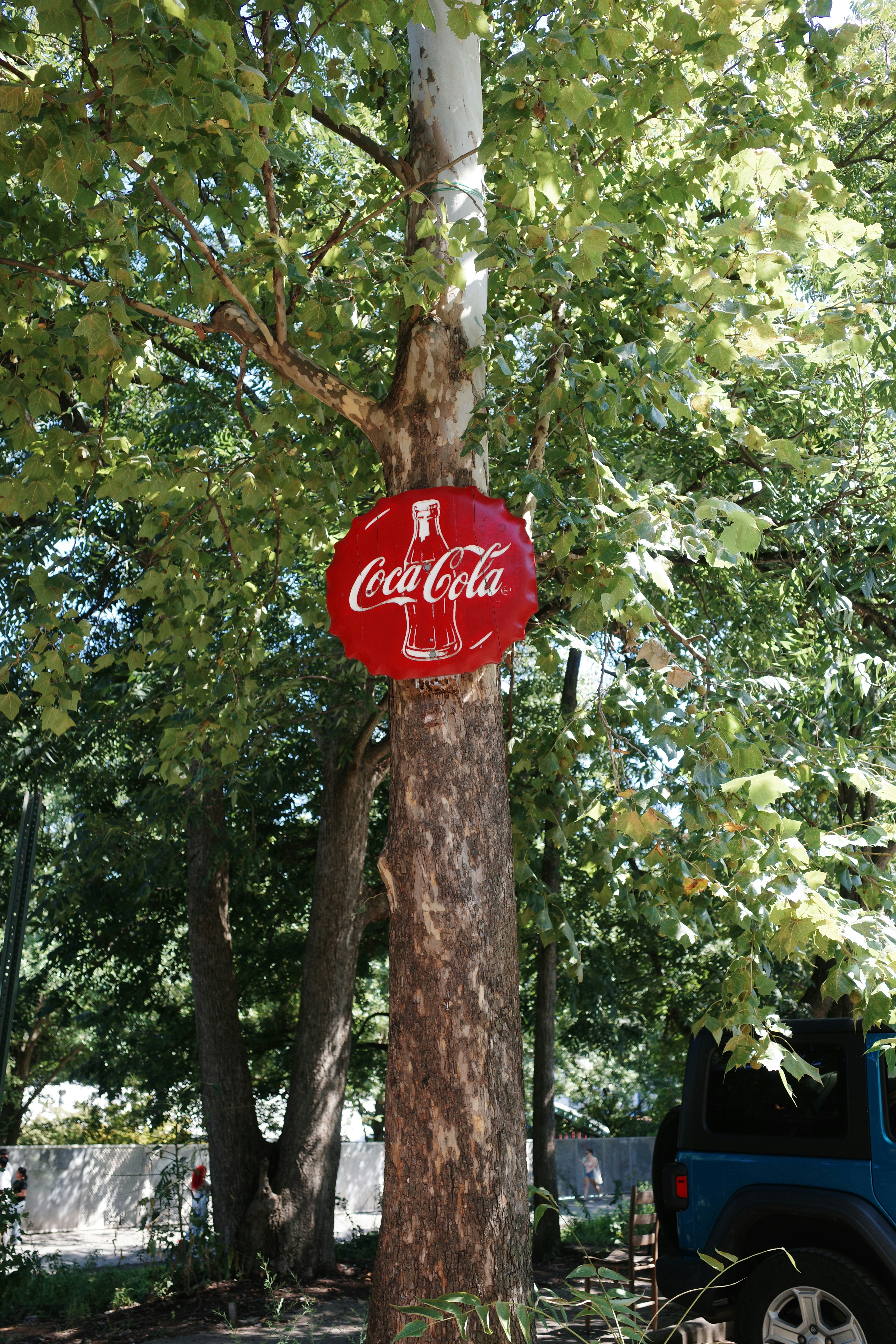 Red Oasis: Coca‑Cola Sign Nestled in a Sunlit Tree