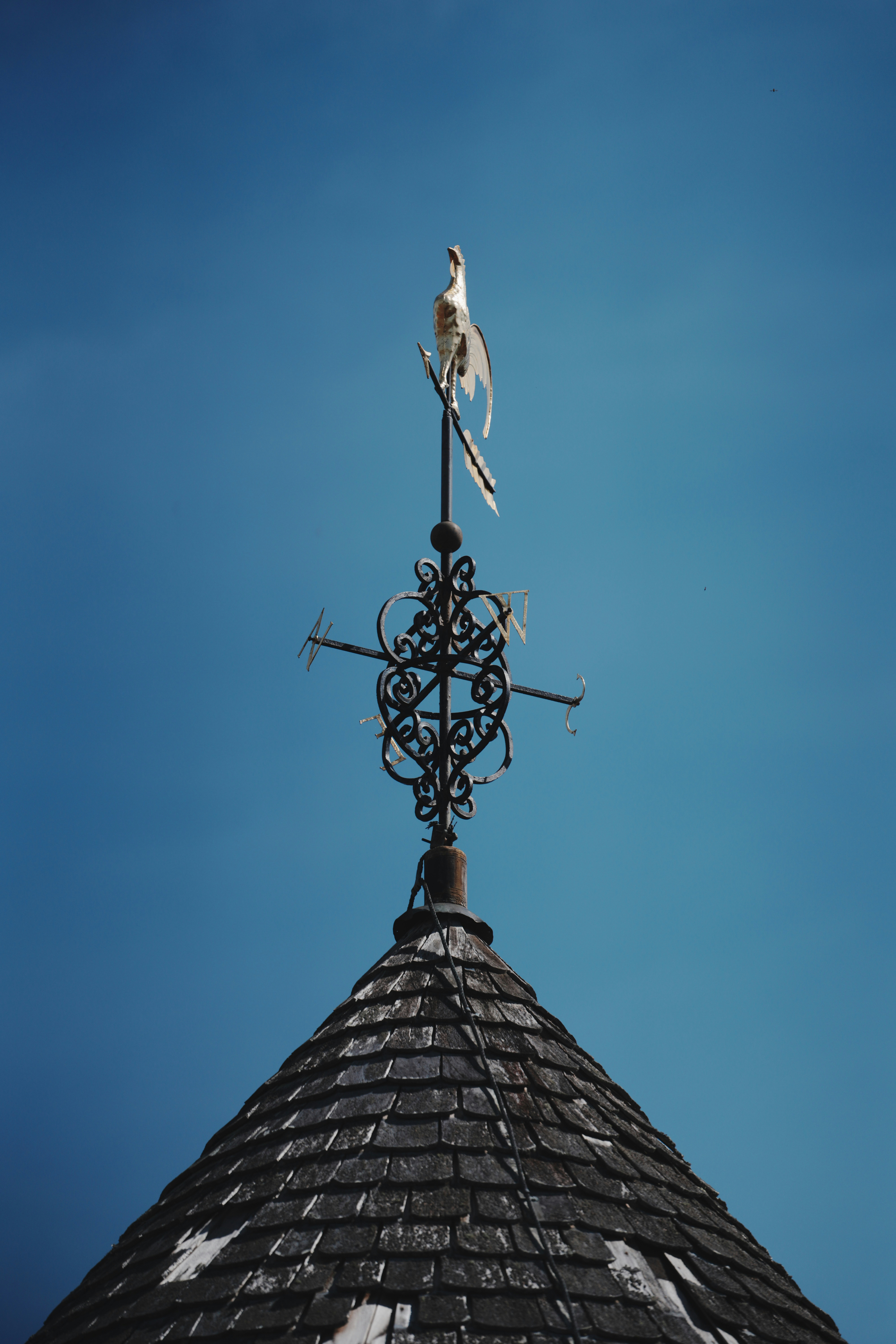 Weathervane Sentinel: Ironwork Spire Against a Clear Sky
