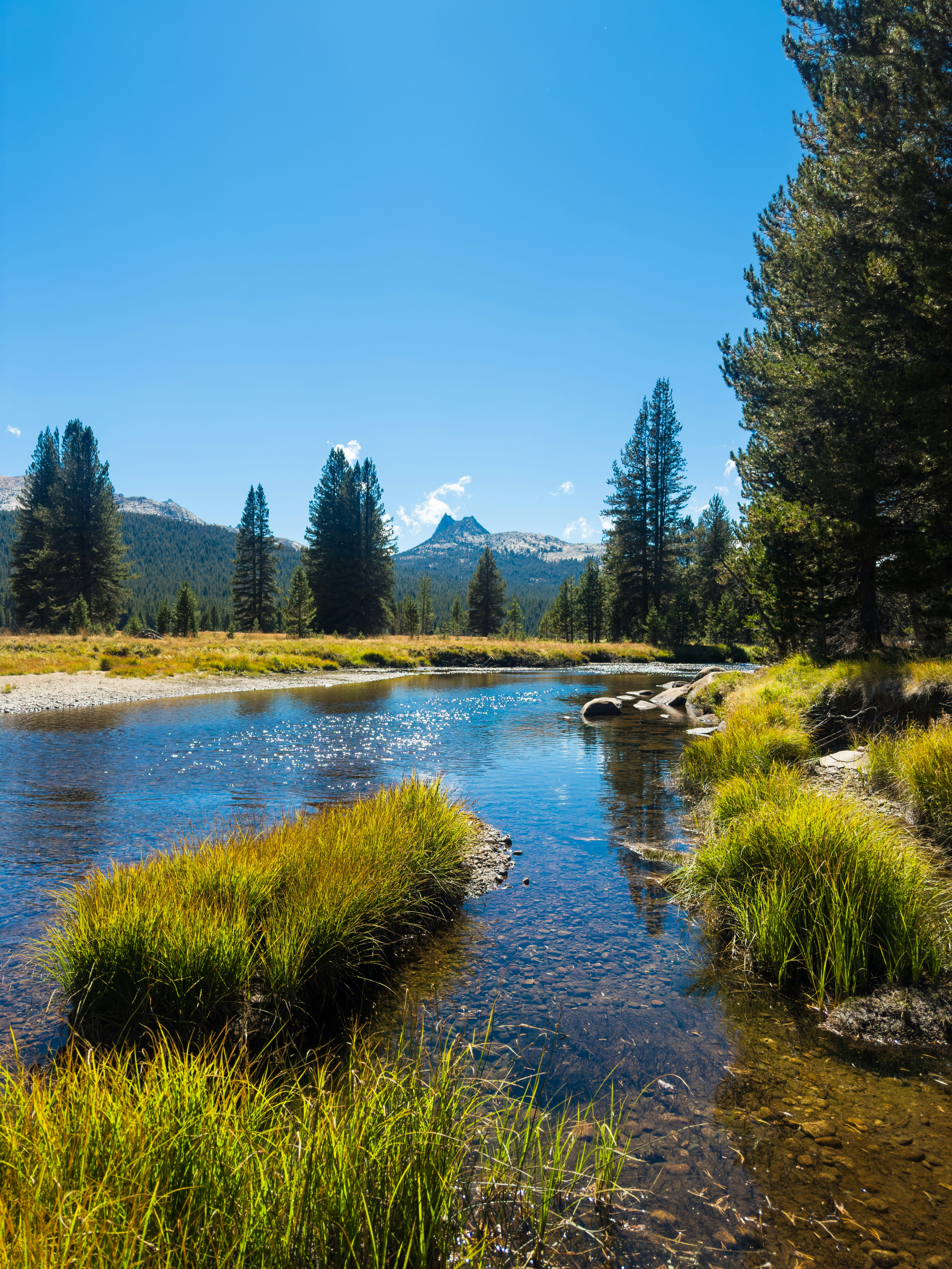 Glacial Streamwork: Sunlit Meadows by the Pine River