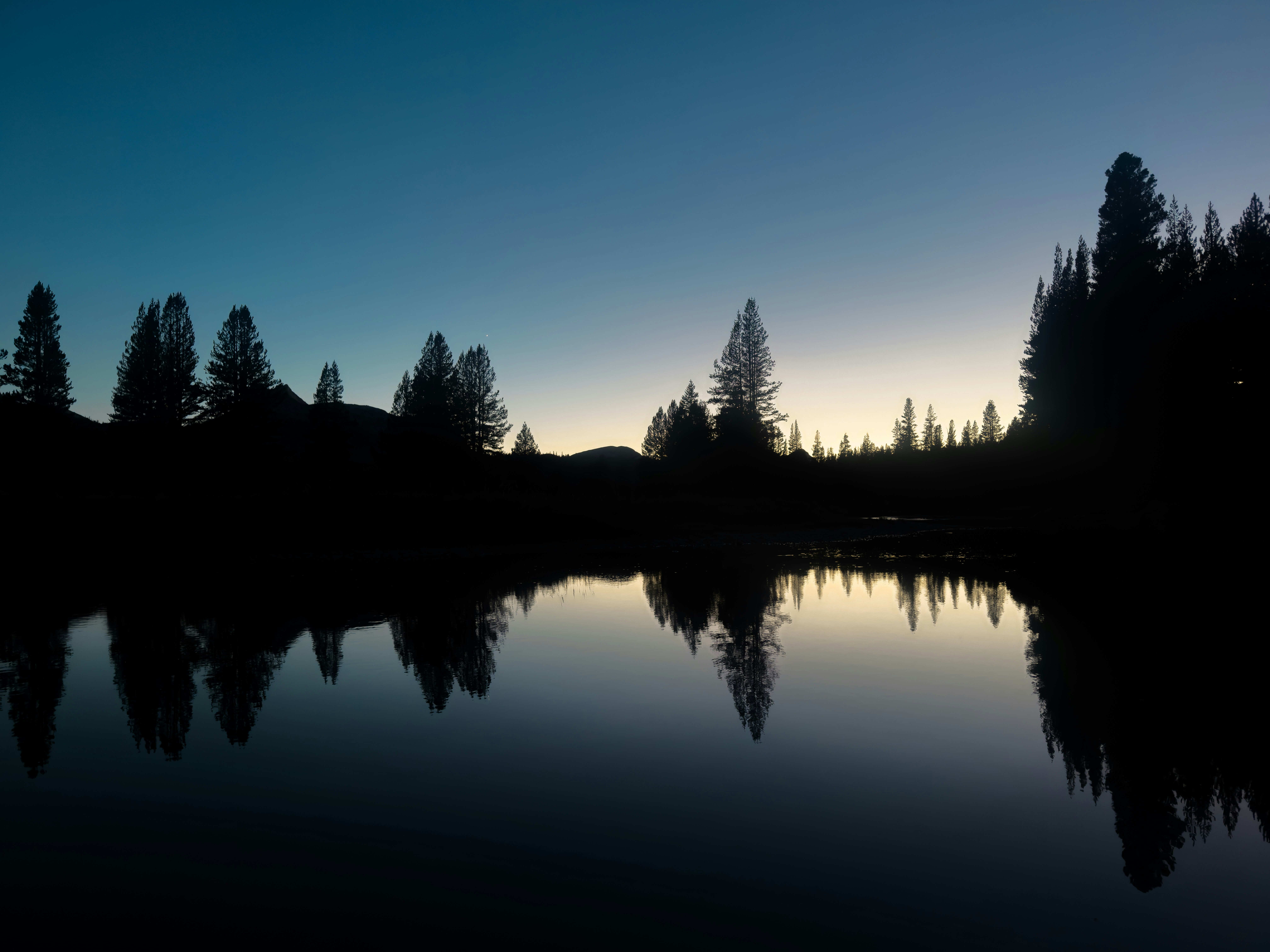 Silhouetted pine trees line a tranquil lake at dusk, their mirrored forms crisp on the water's surface.