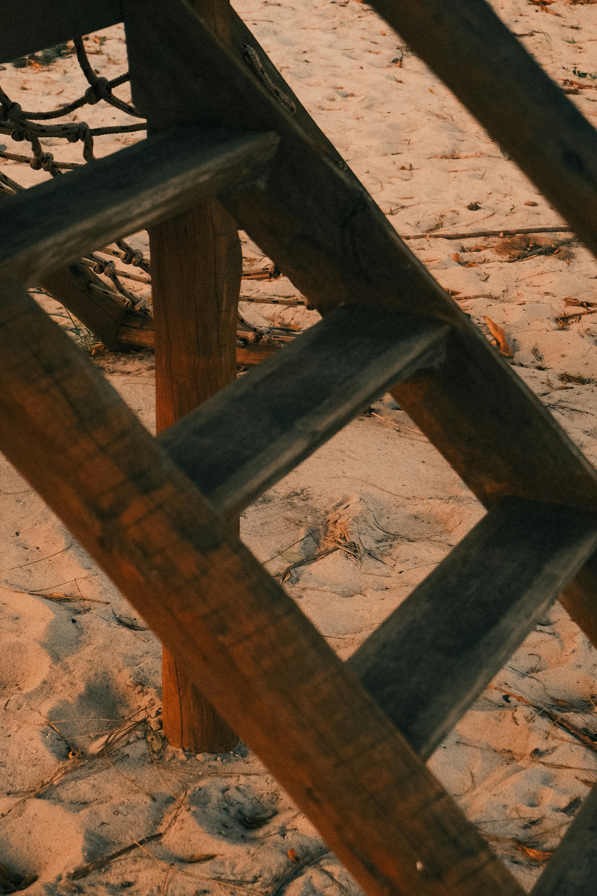 Weathered staircase of driftwood rising from sunlit sand