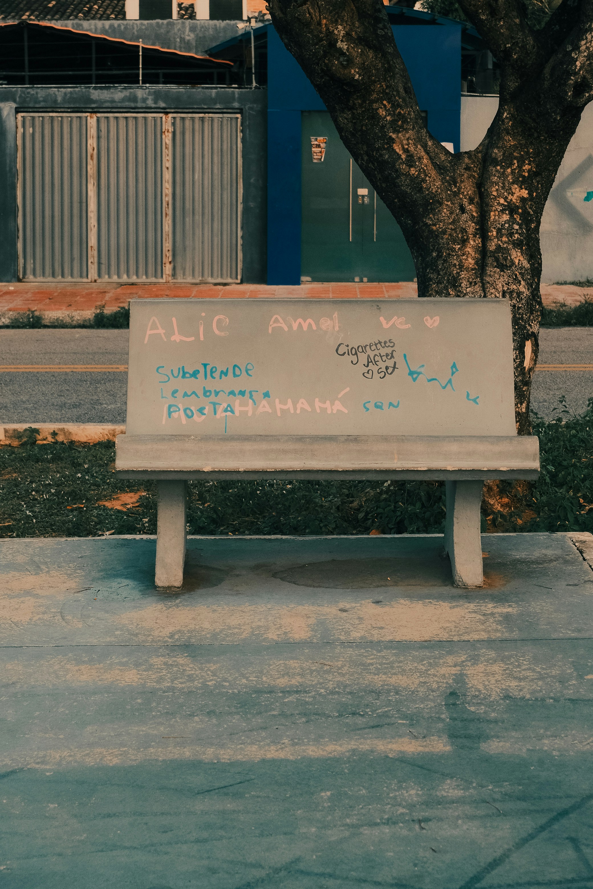 Graffiti Bench Under a Tree in Dusk-toned Street Scene
