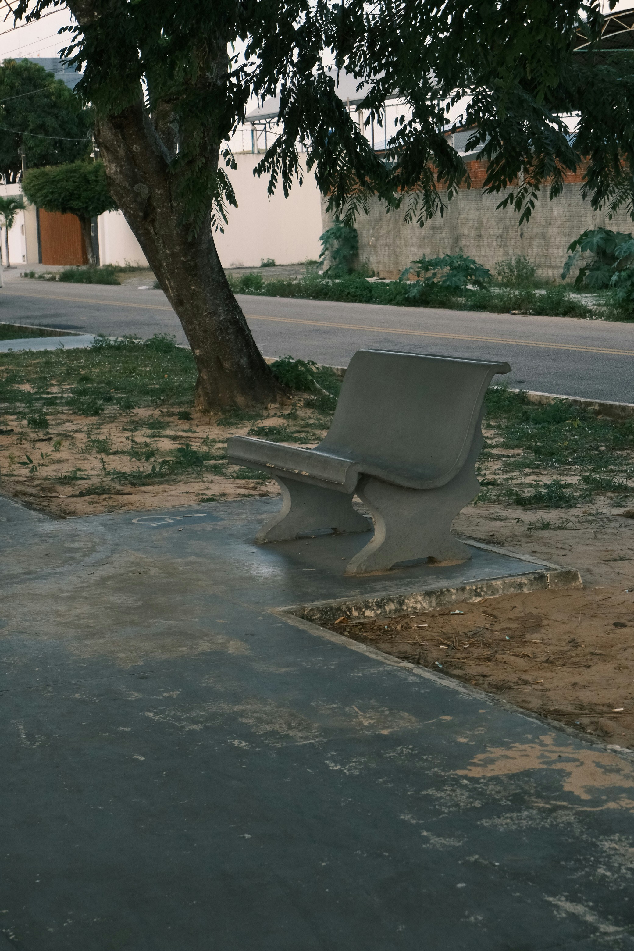Quiet Street Bench Under A Weeping Tree