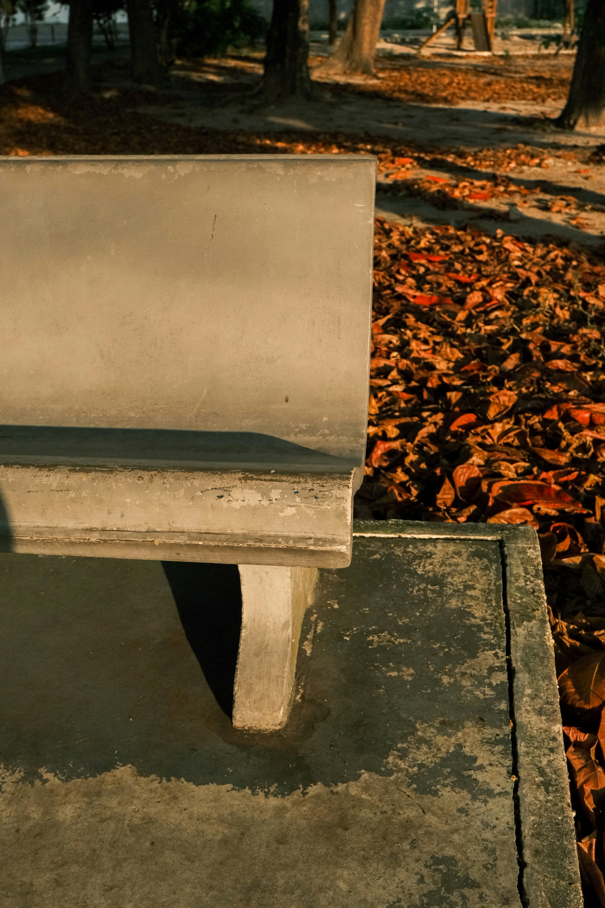 Concrete bench and pedestal sit beside a bed of fallen leaves in a sunlit park path.