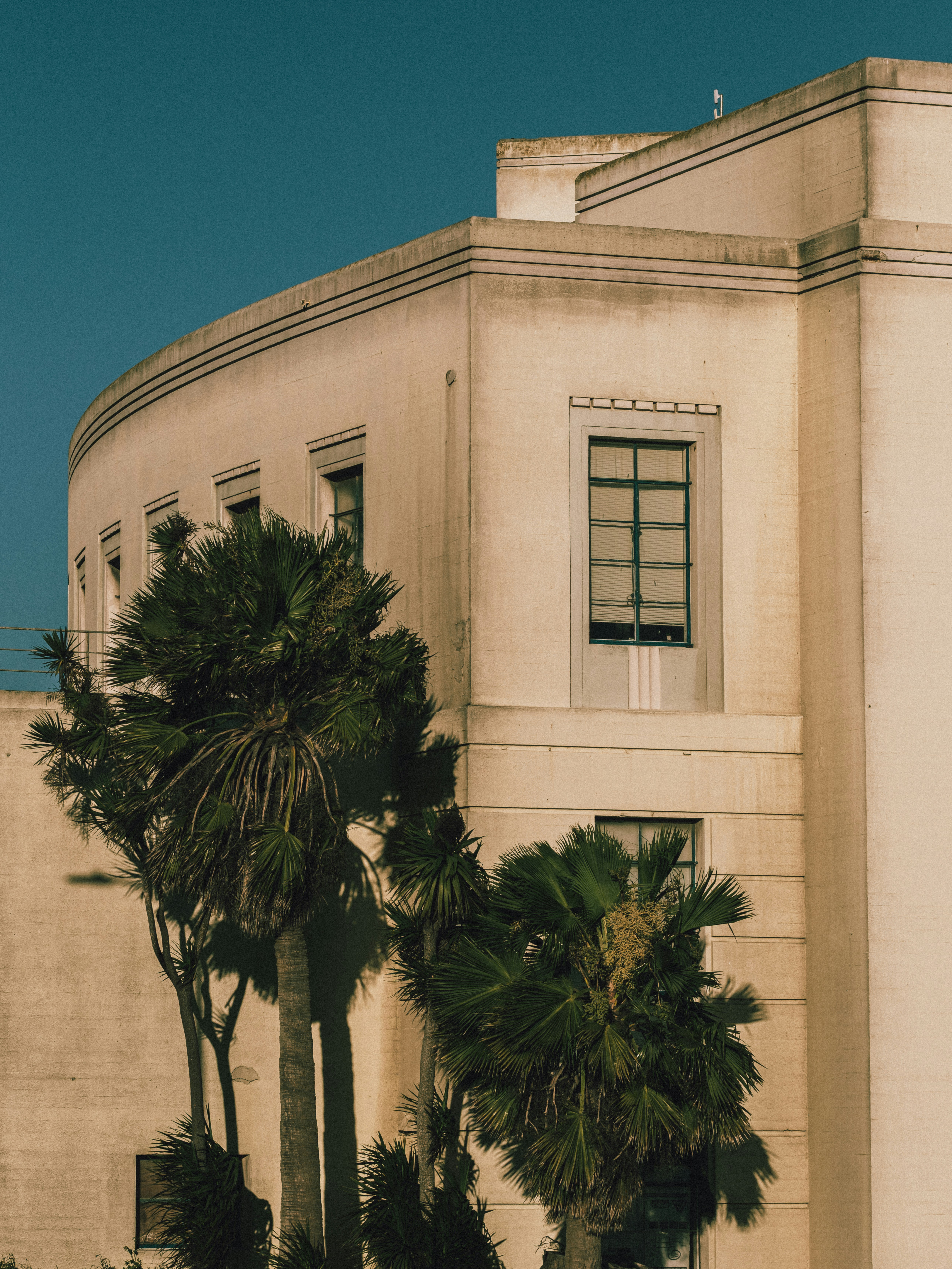 Curved Facade and Shadowed Palms: A Quiet Street Portrait of Architecture