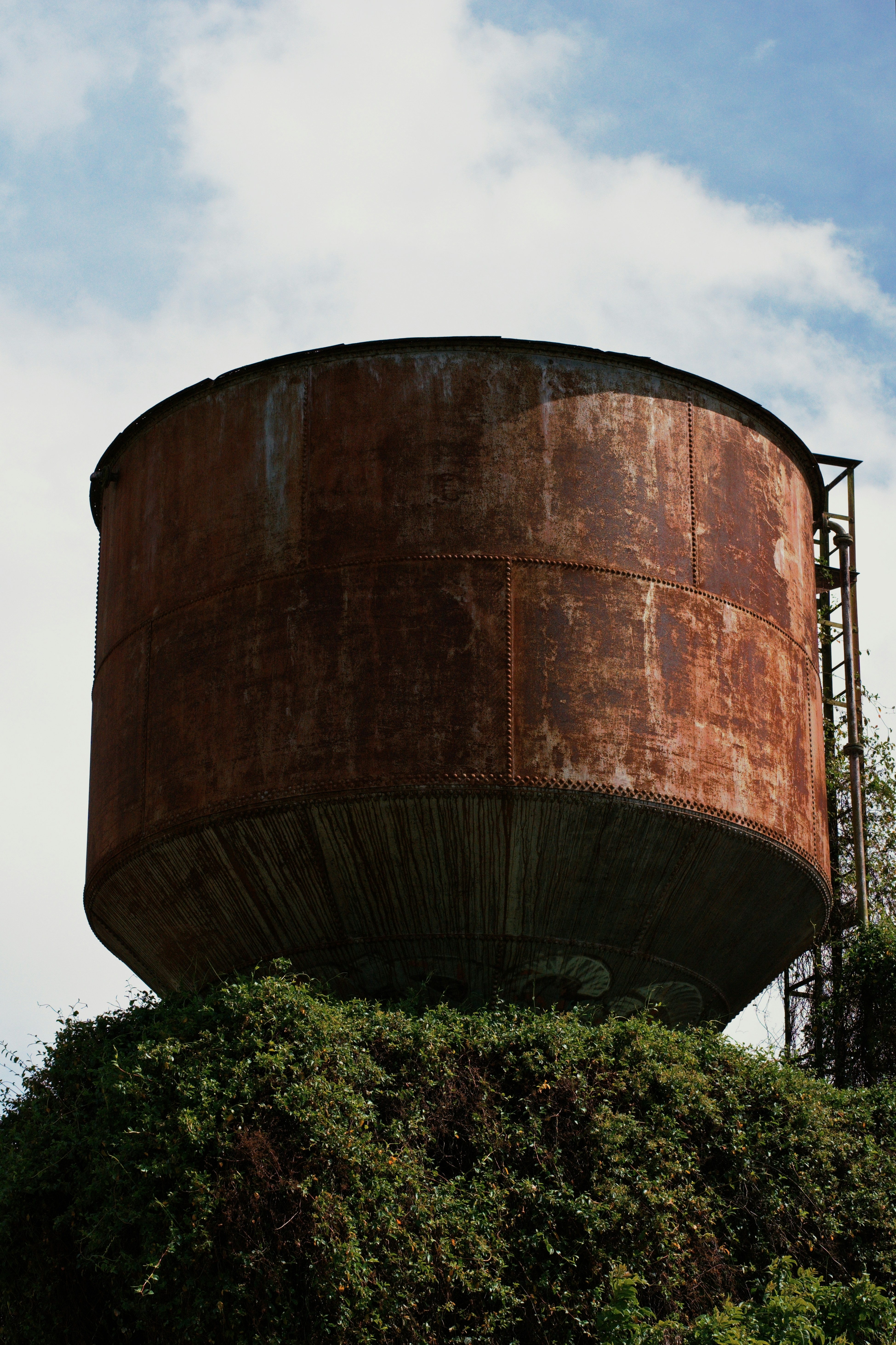 Rusting Sentinel: A Weathered Water Tank Overlooking Overgrown Terrain