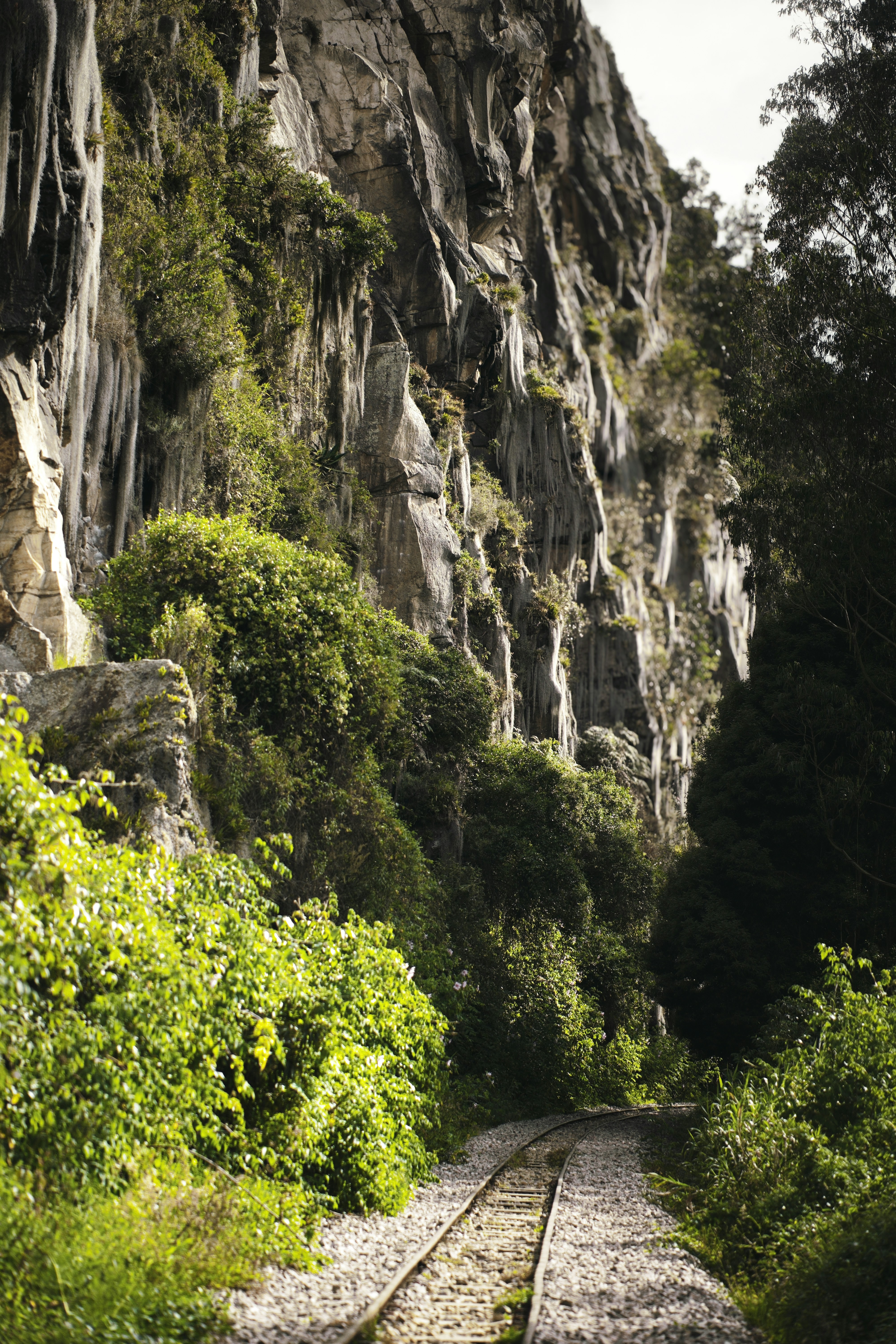 Railway Meander Through Ledge and Greenery