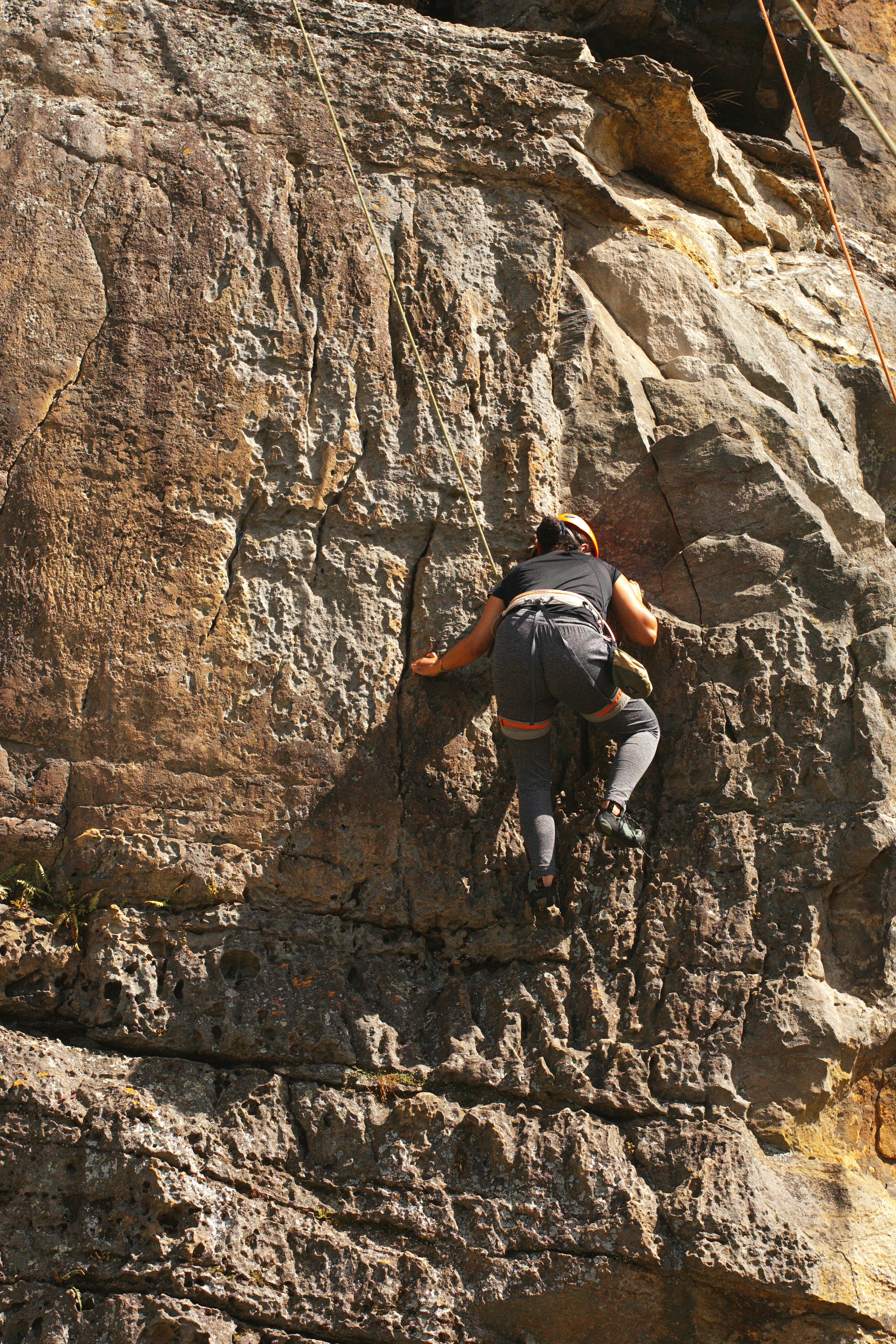 Climber in Focus: Grip and Grit on a Sunlit Vertical